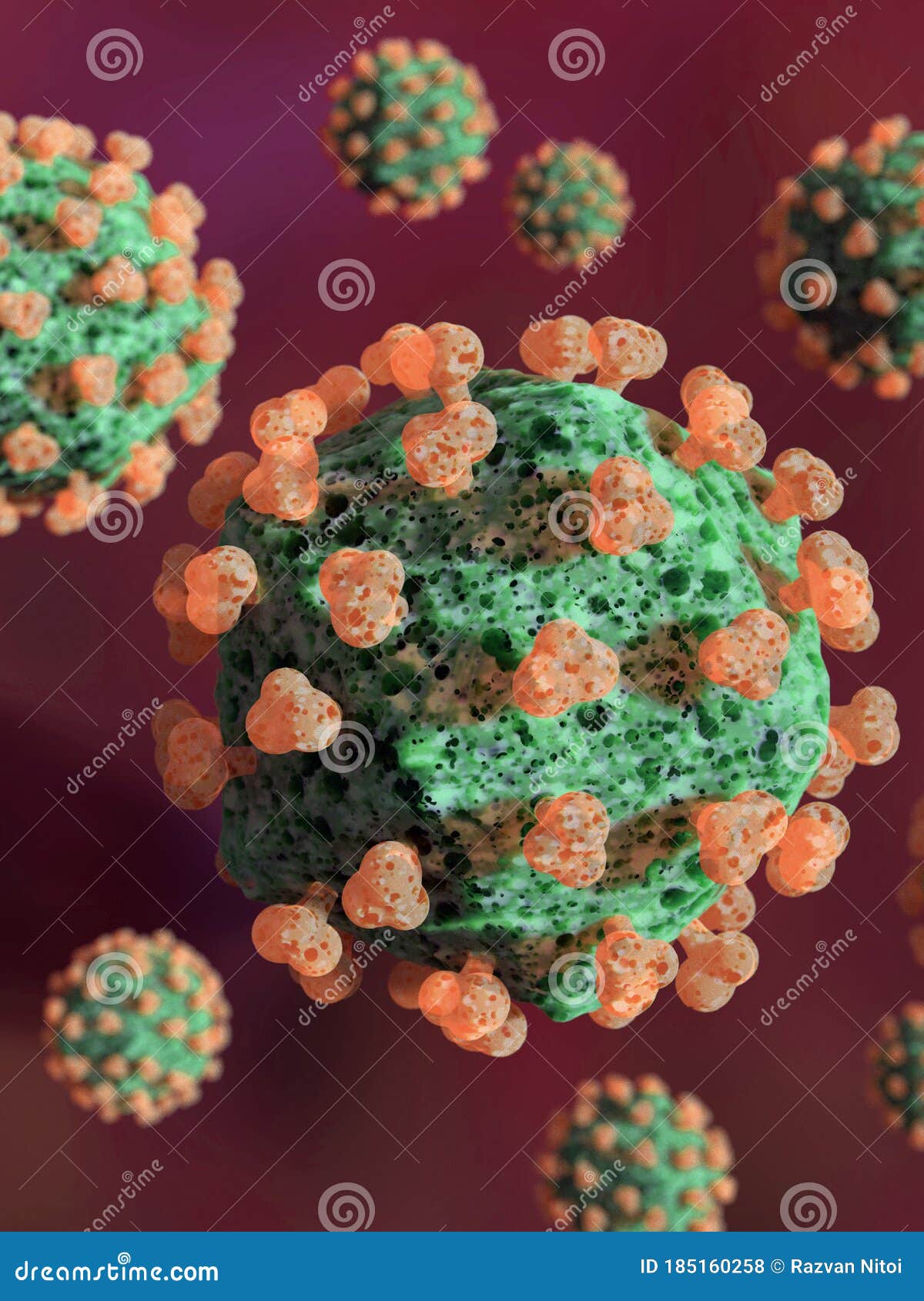 Coronavirus Cells Invading Host Organism Causing Disease Stock ...