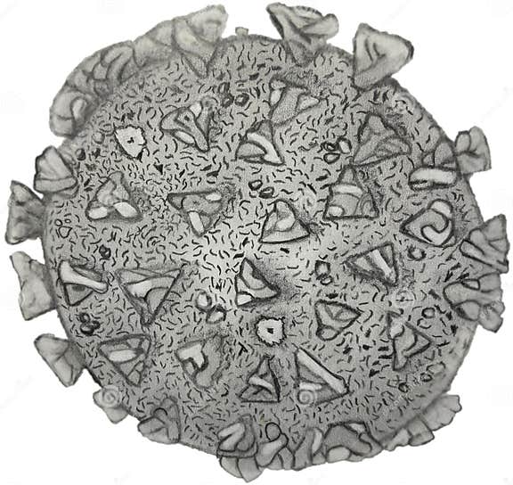 Coronavirus Covid-19 Drawing Rendered Vector Stock Photo - Illustration ...