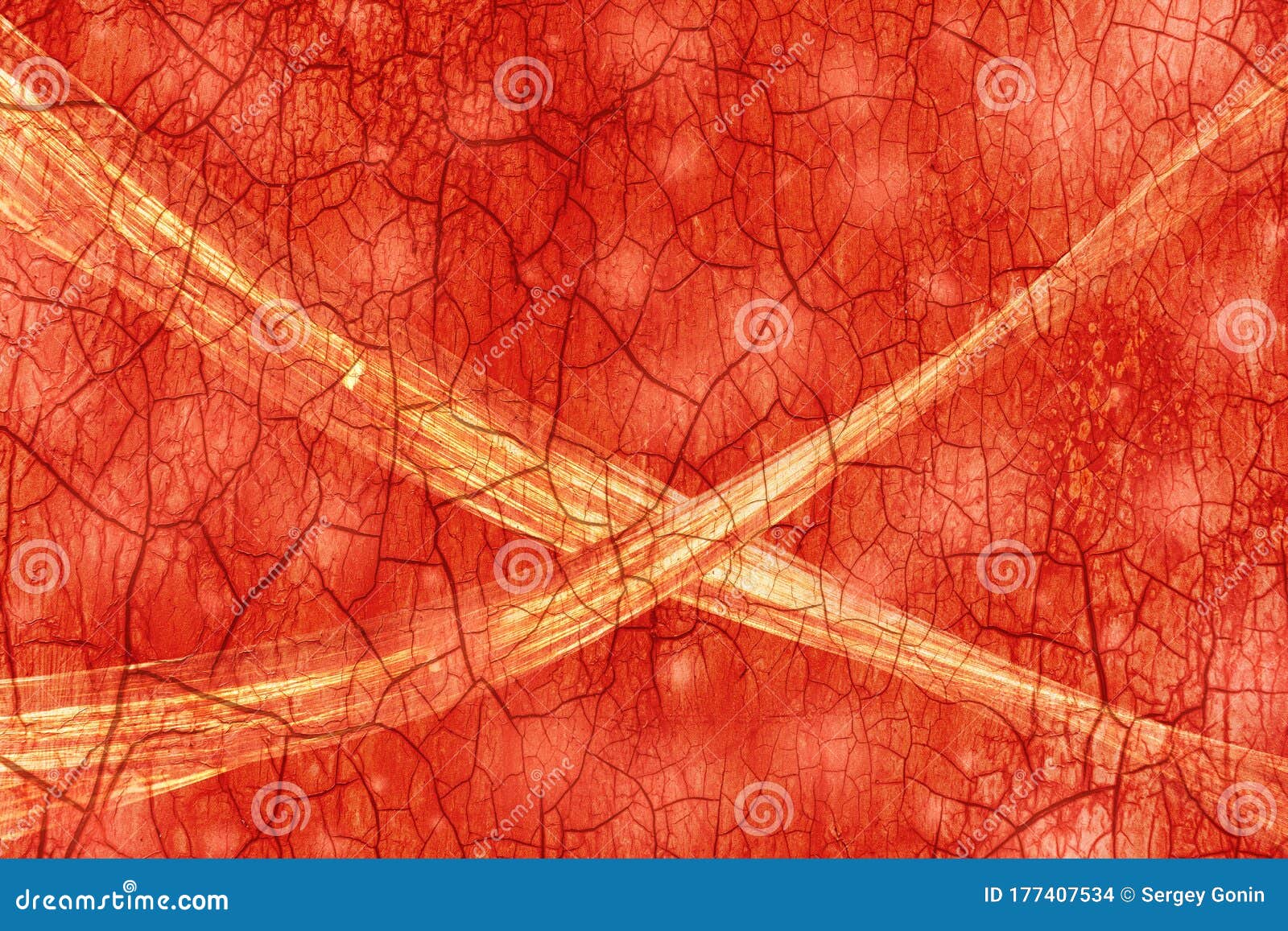 Coronavirus Infected Blood Flows through a Vessel Stock Photo - Image ...