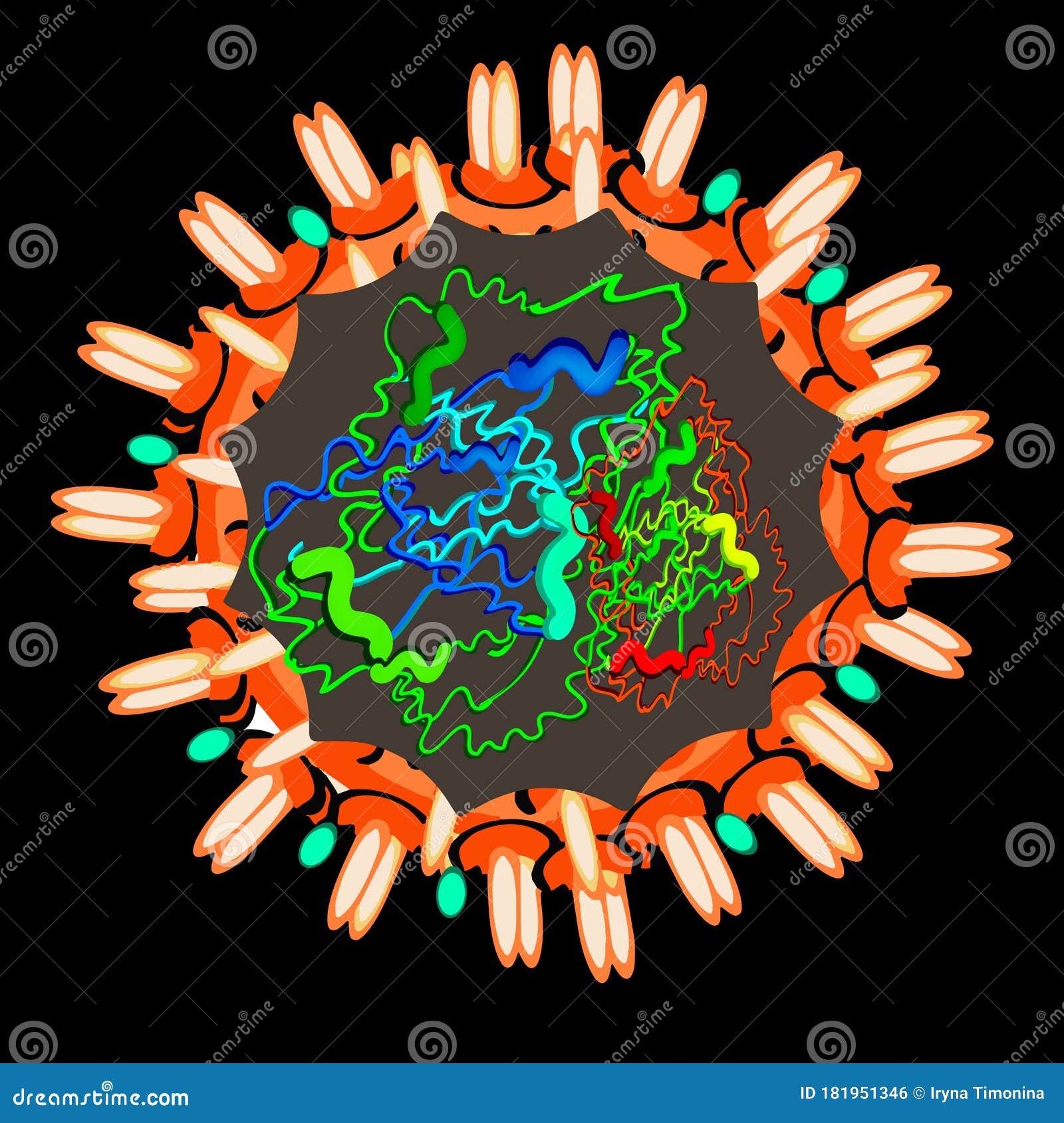 Structure Of The Influenza Virion. Virus. Vector | CartoonDealer.com ...