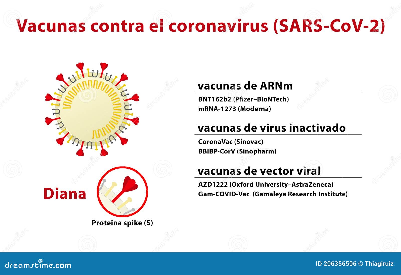 Coronavirus Vaccines Under Development. Text in Spanish. Editorial ...