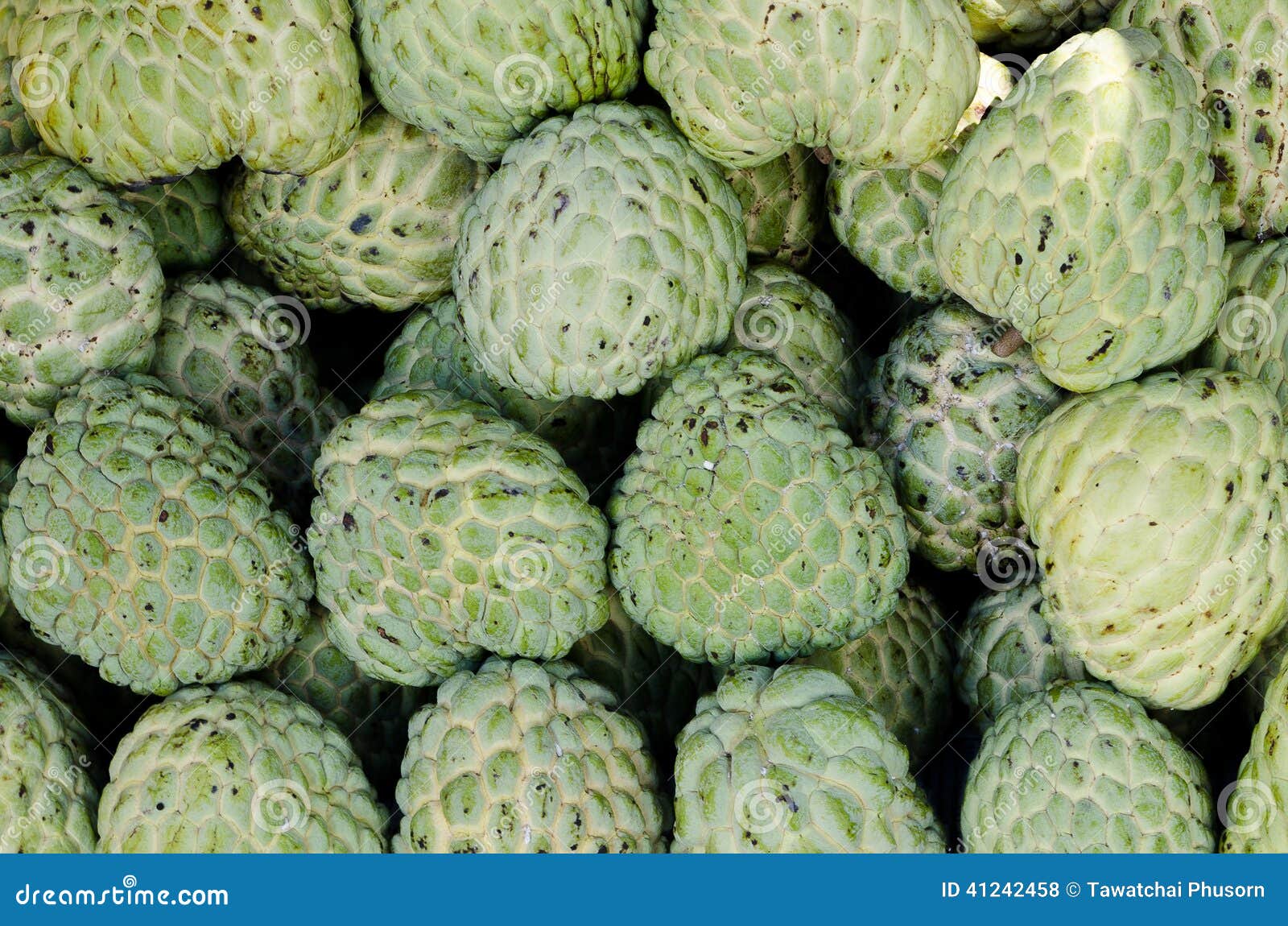 Corossol photo stock. Image du exotique, asiatique, dessert - 41242458