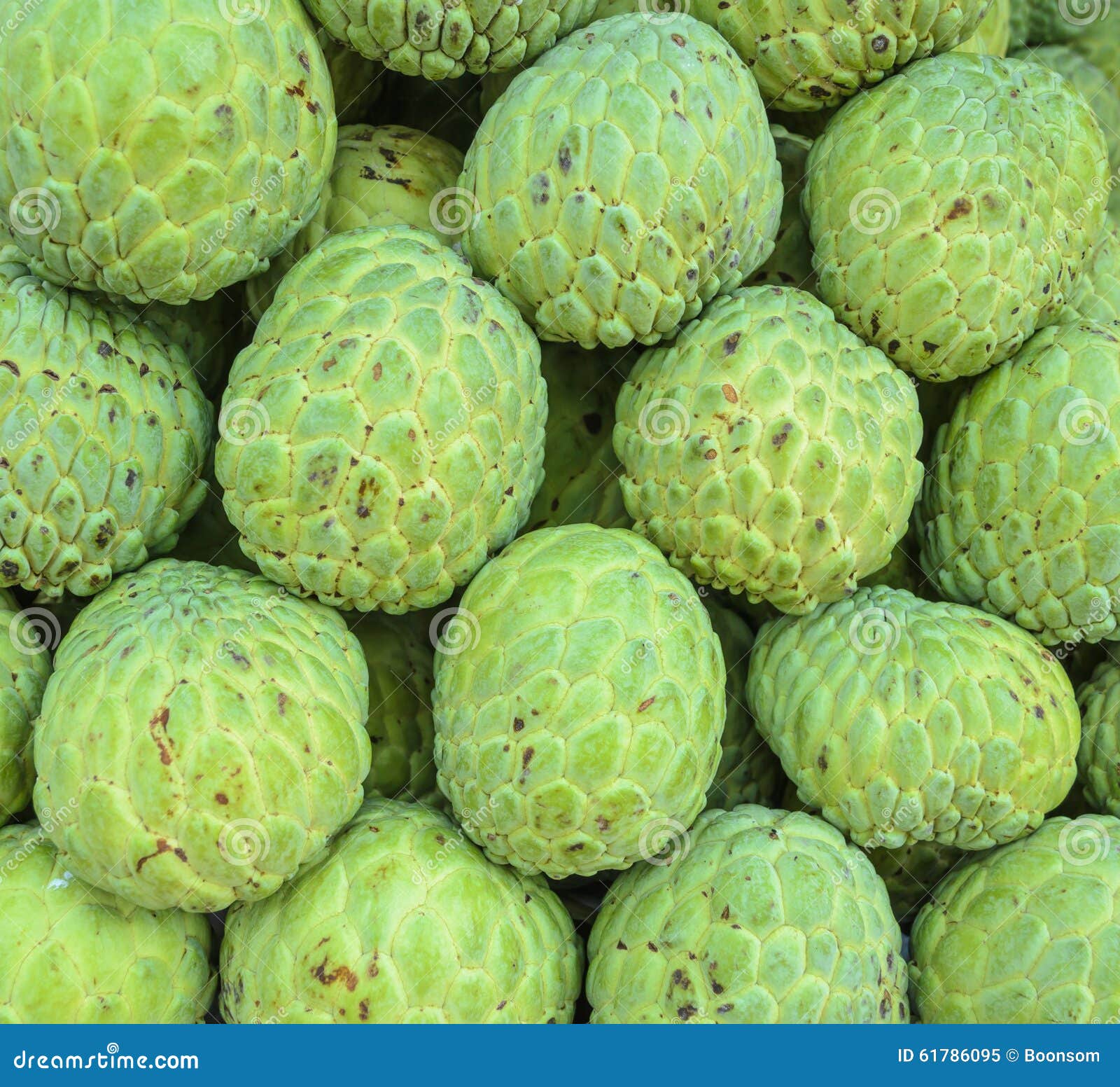 Corossol Ou Fruit De Pomme Cannelle Image stock - Image du fond ...