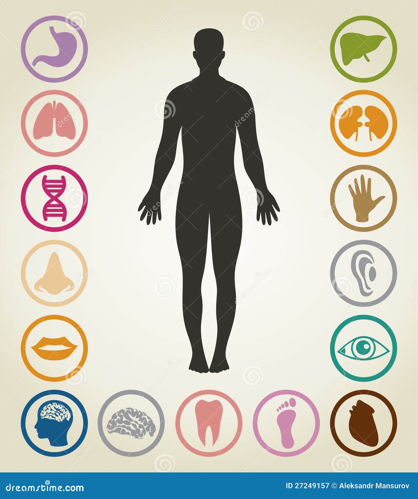 Corpi della persona illustrazione vettoriale. Illustrazione di naso ...