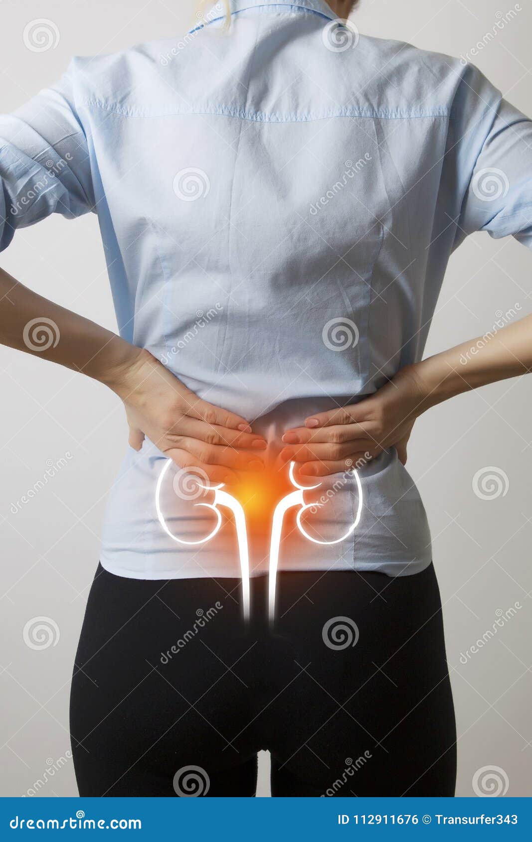 Corpo Della Donna Con Visualizzazione Dei Reni E Della Vescica ...