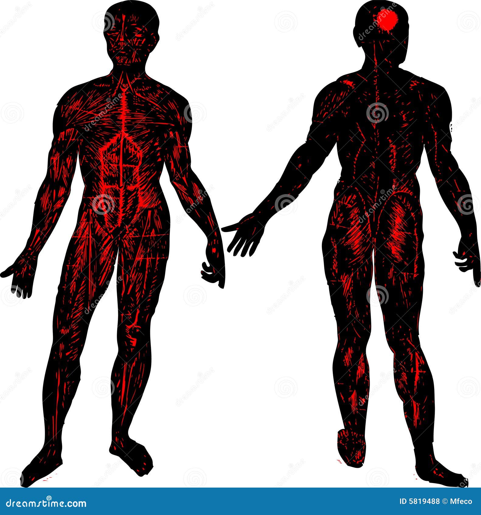 Corpo umano illustrazione vettoriale. Illustrazione di braccio - 5819488