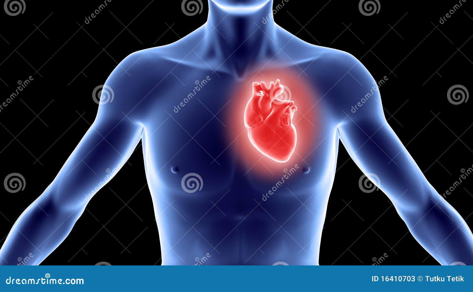 Corpo umano con cuore illustrazione di stock. Illustrazione di biologia ...