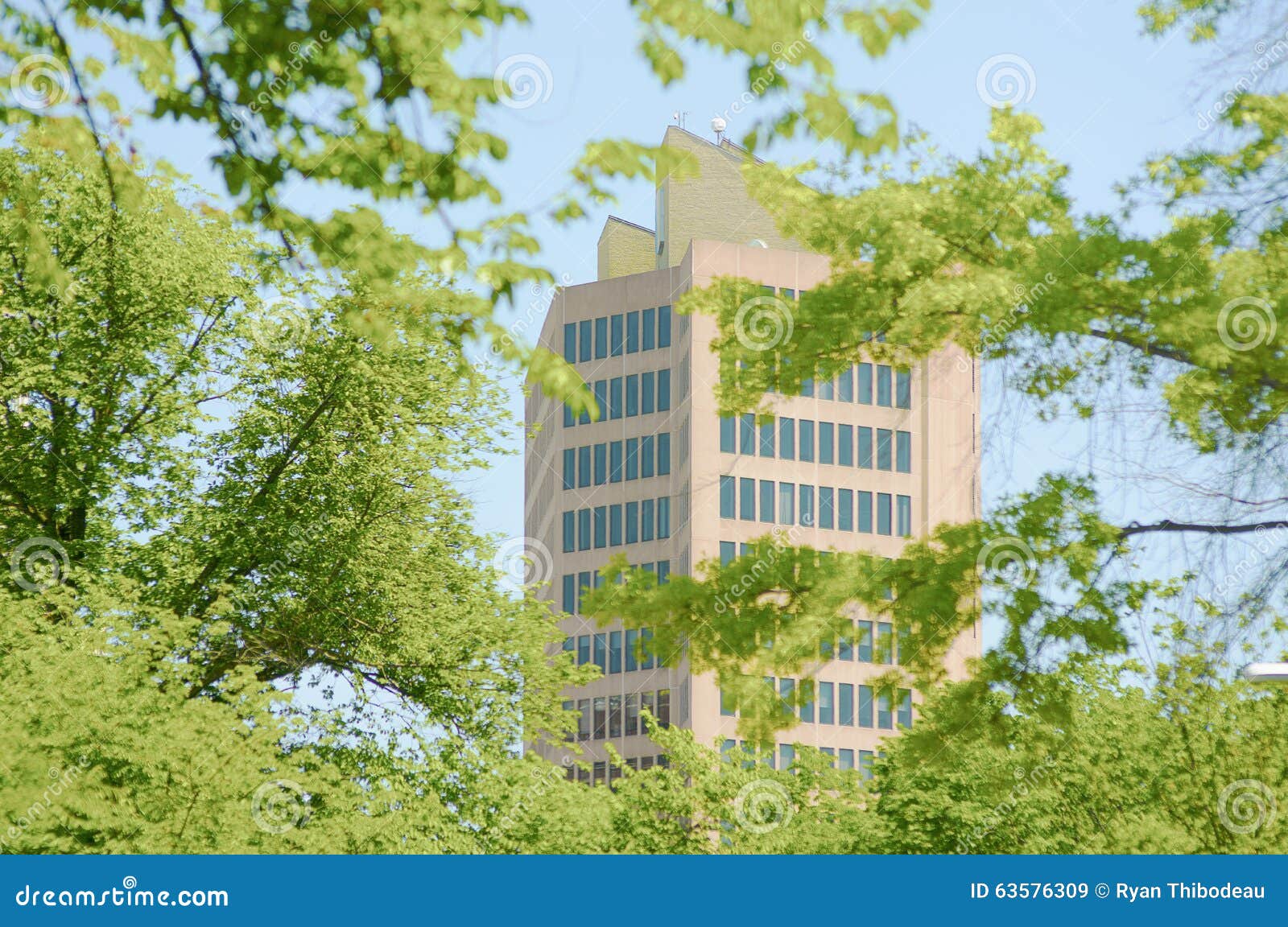Corporate High Rise Behind Trees Stock Image - Image of success ...