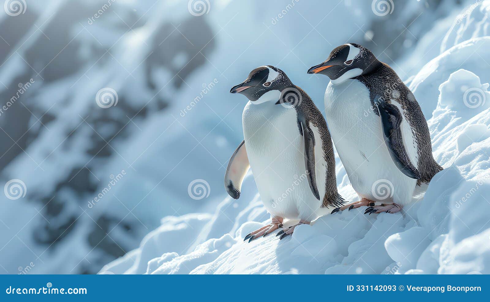 Corporate Ladder Climbed by Penguins, Teamwork and Ambition, Clear ...