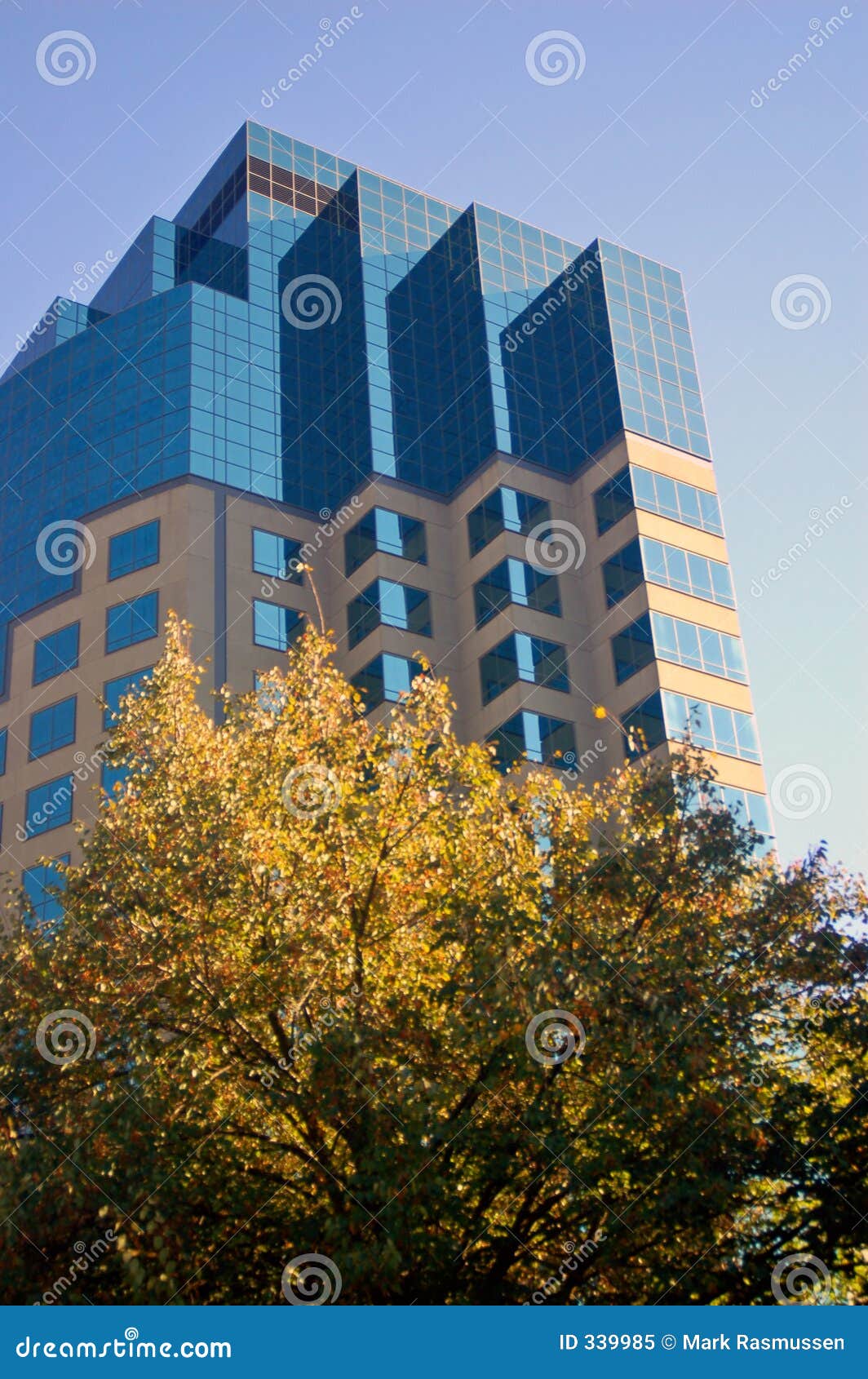 Corporate Office Building stock image. Image of archeitectural - 339985