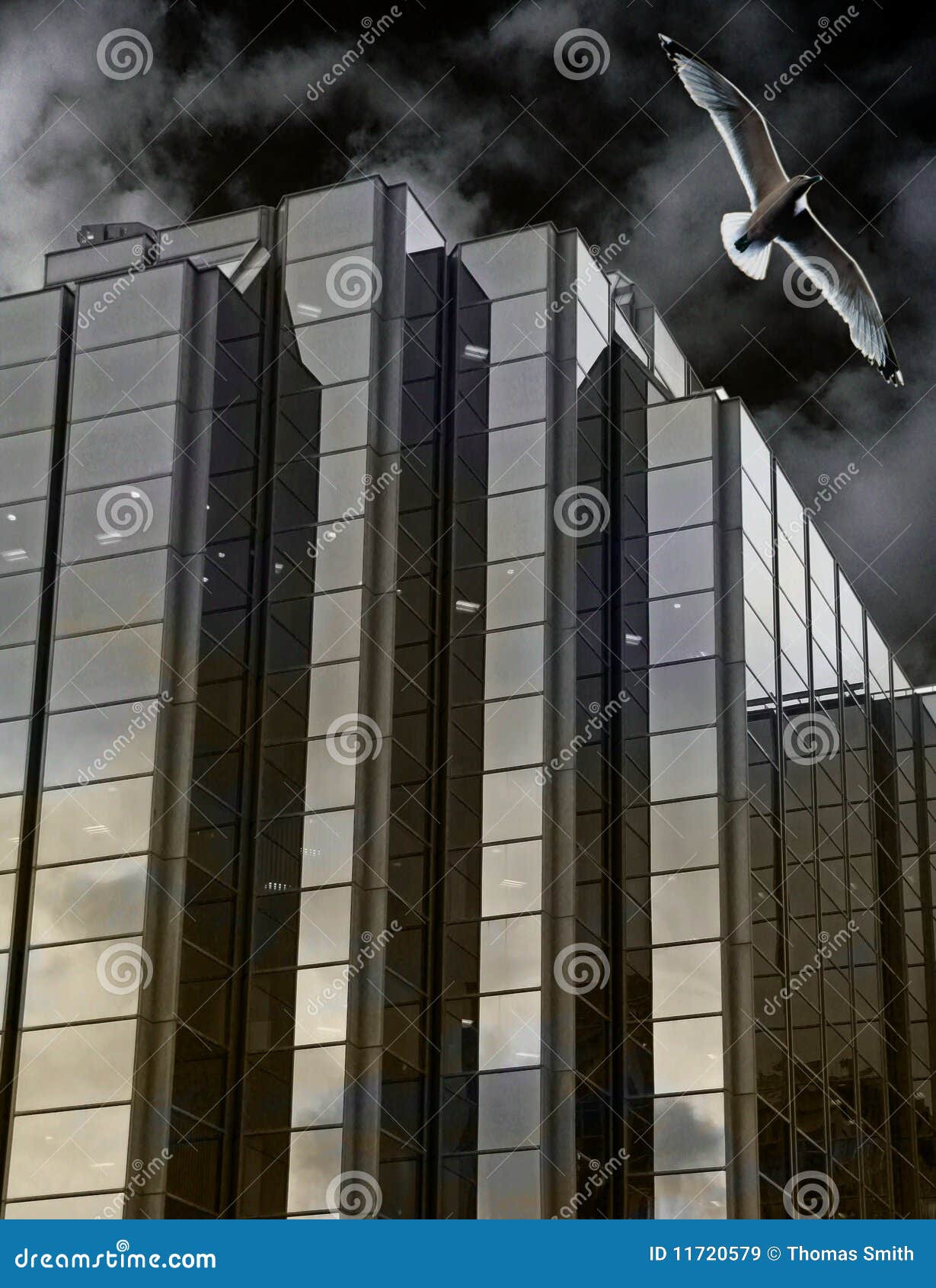 Corporate Office Building and Seagull Stock Image - Image of flight ...