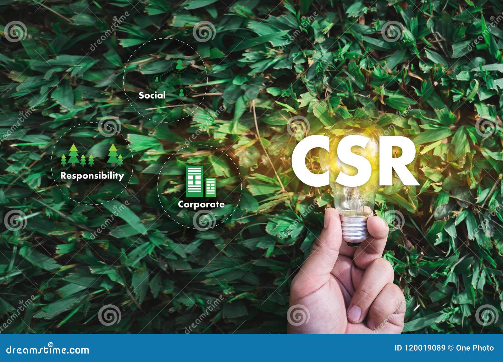 Corporate Social Responsibility CSR and Sustainability Responsible ...
