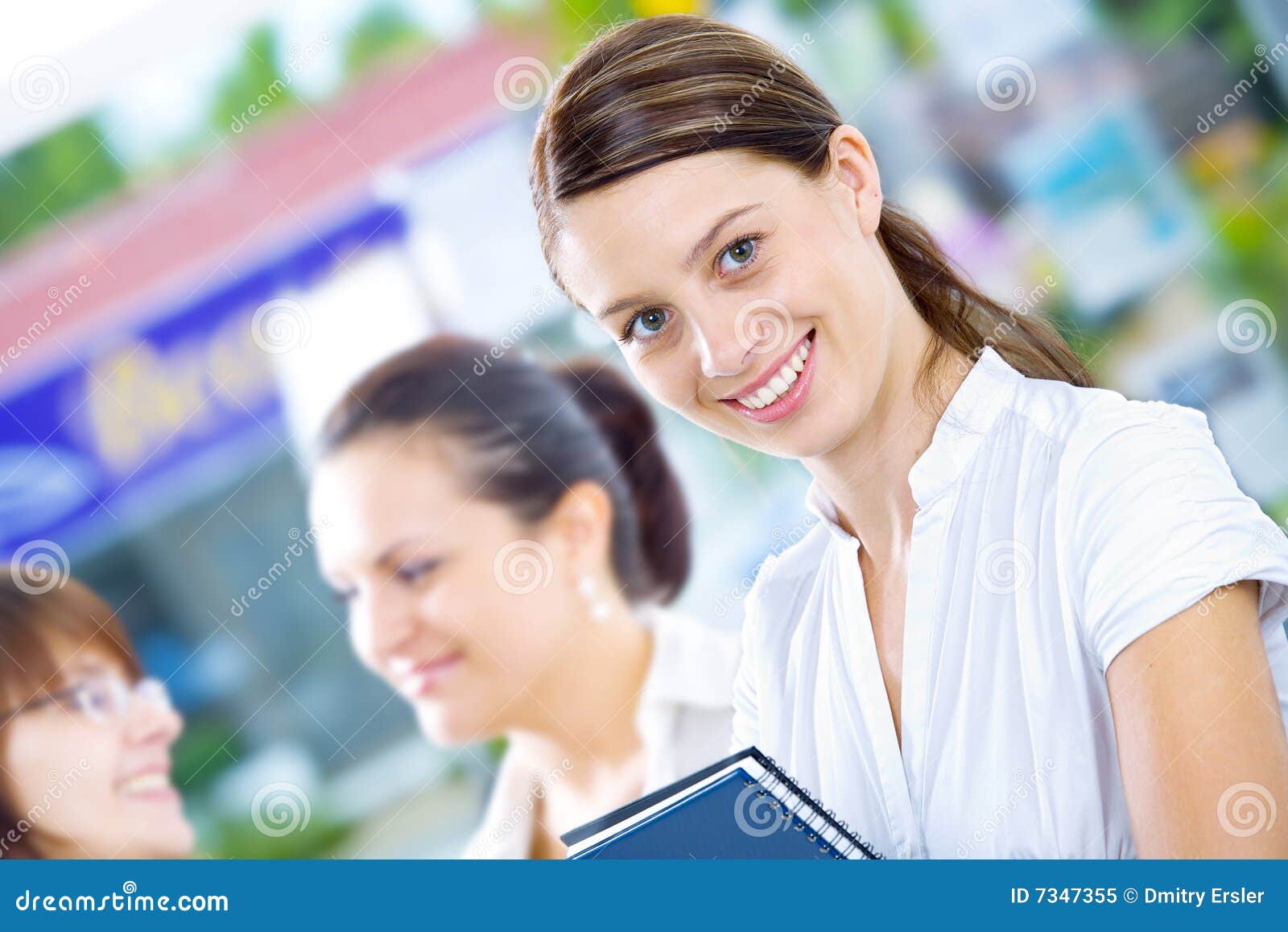 Corporative stock image. Image of attitude, modern, leader - 7347355