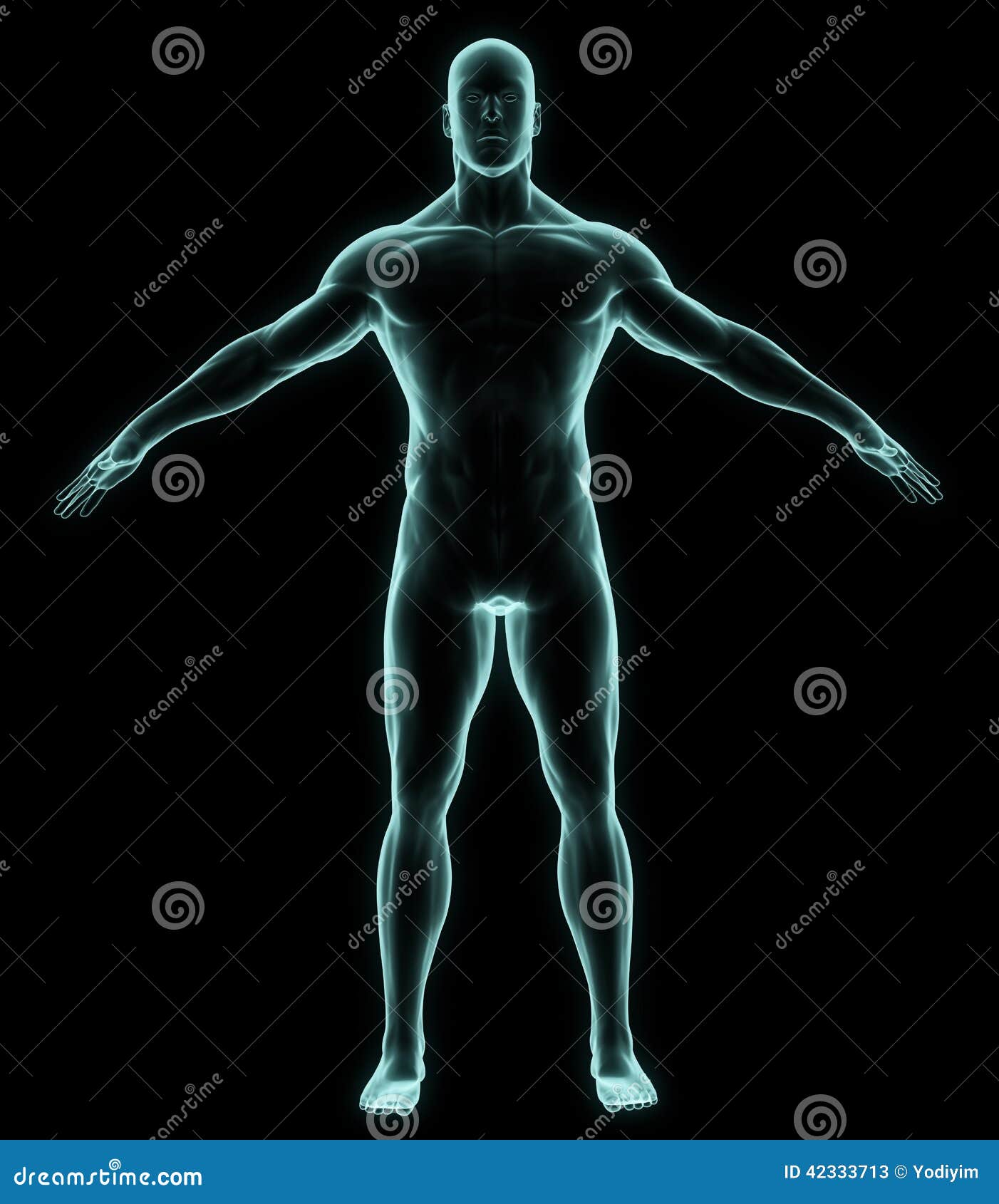 Corps Humain De Rayon X Plein Illustration Stock - Illustration du noir ...