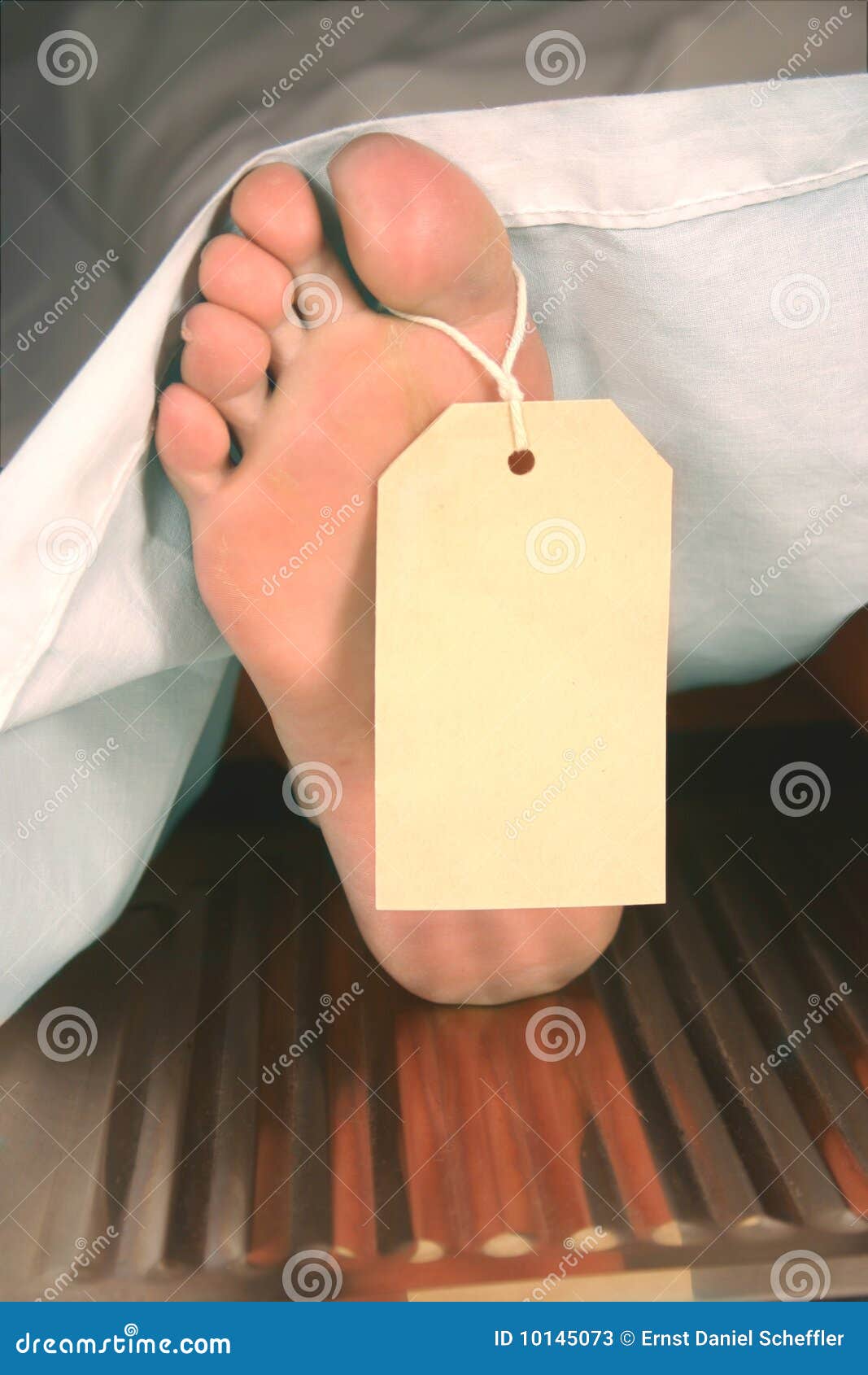 Corpse stock image. Image of foot, body, dead, death - 10145073