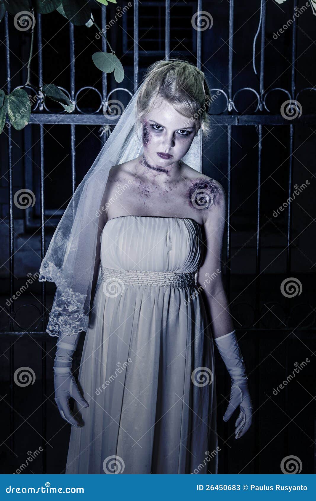 Corpse Bride stock image. Image of nightmare, evil, demon - 26450683