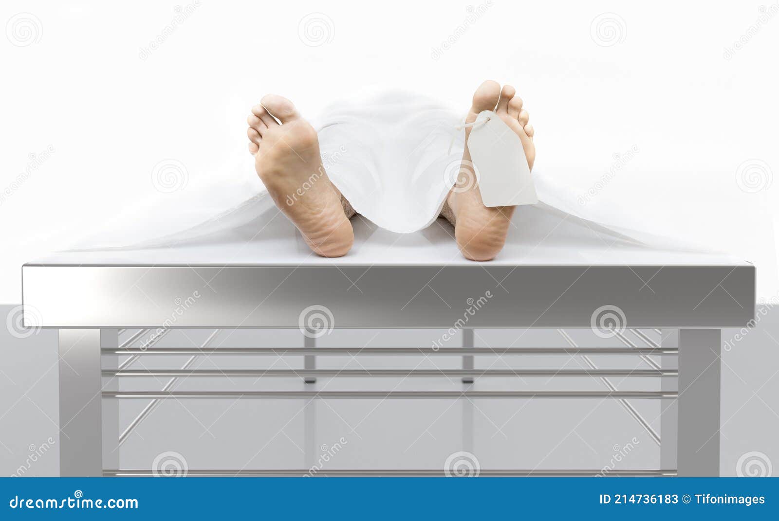 Dead body at the morgue stock image. Image of body, mortuary - 214736183