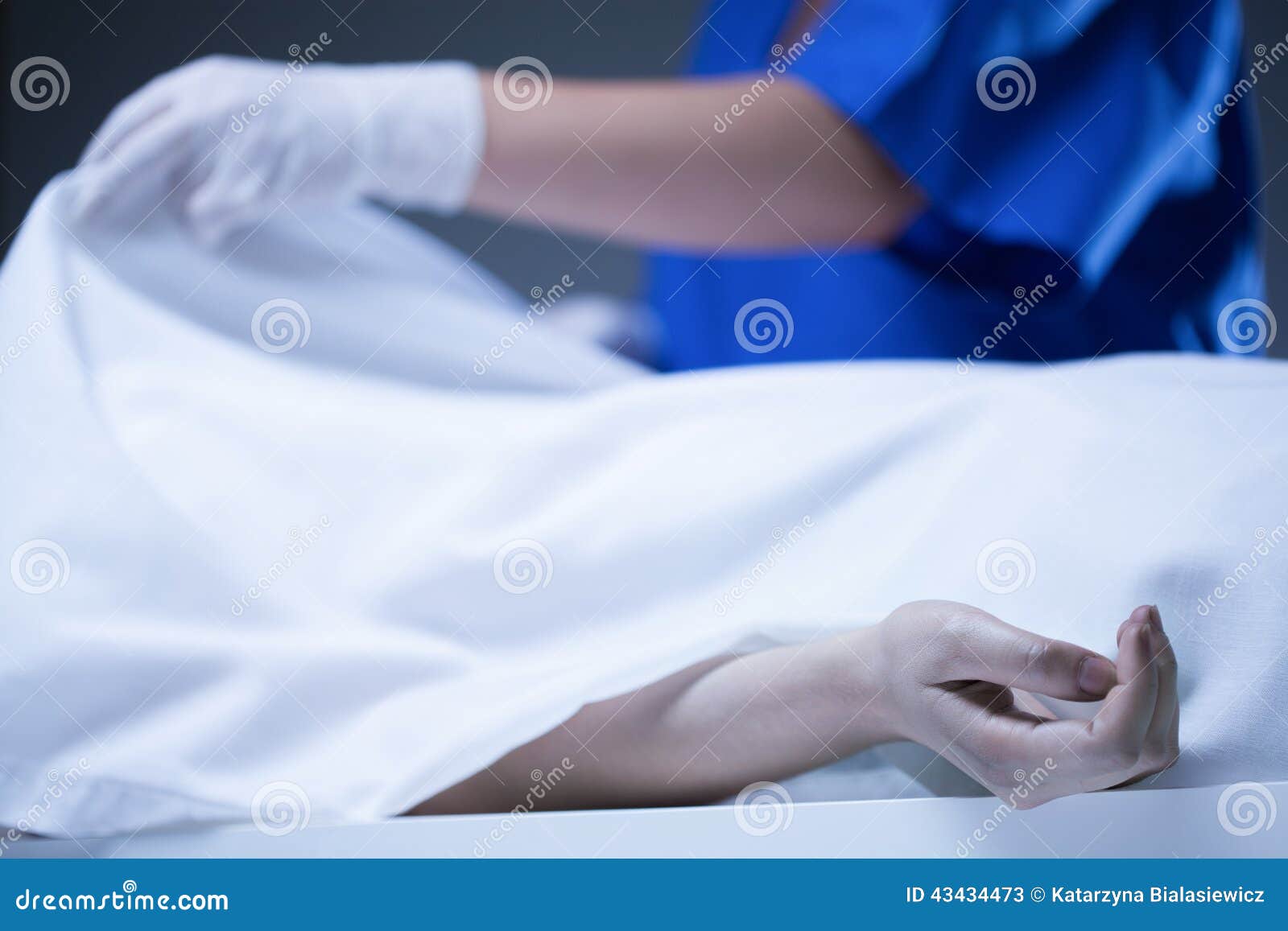 Corpse covered by sheet stock image. Image of crime, corpse - 43434473