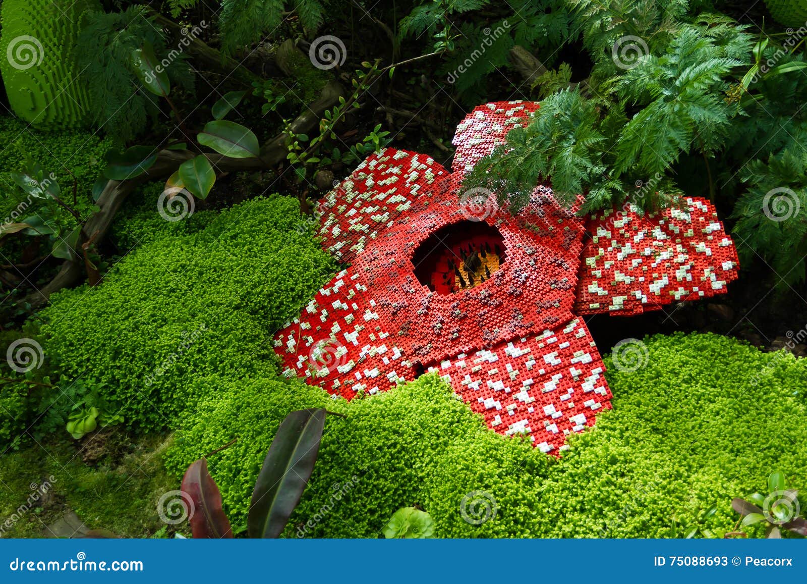 Corpse Flower Was Made of Interlocking Plastic Bricks Toy. Scientific ... Corpse Flower Was Made of Interlocking Plastic Bricks Toy. Scientific ...
