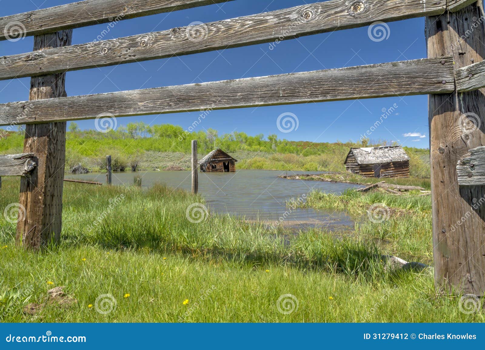 Corral and flooded barn stock photo. Image of blue, field - 31279412