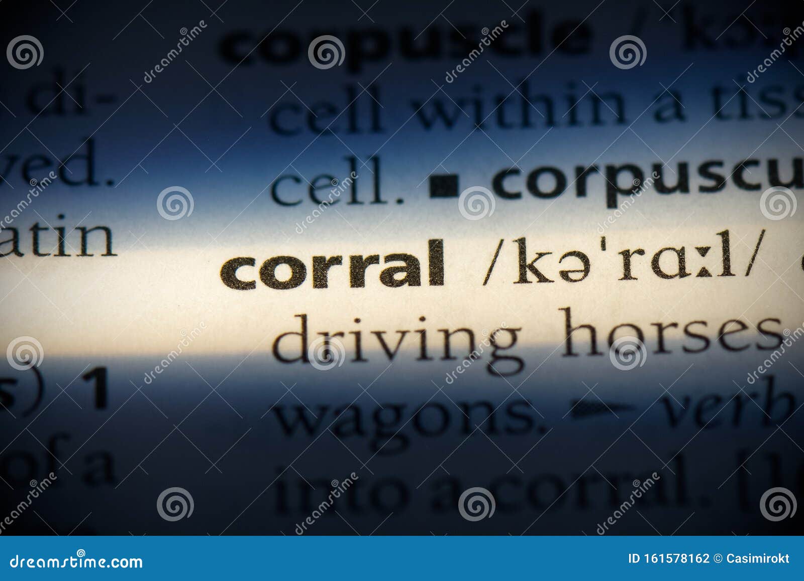 Corral stock photo. Image of info, learn, paper, macro - 161578162