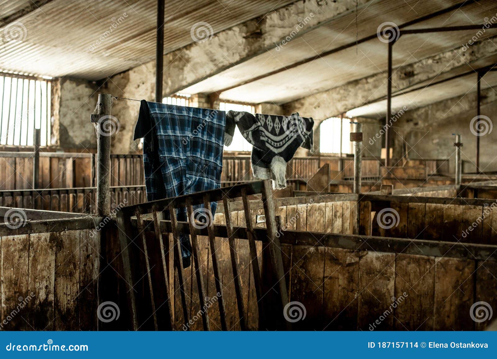 Corrals for Livestock in the Barnyard Stock Photo - Image of animal ...