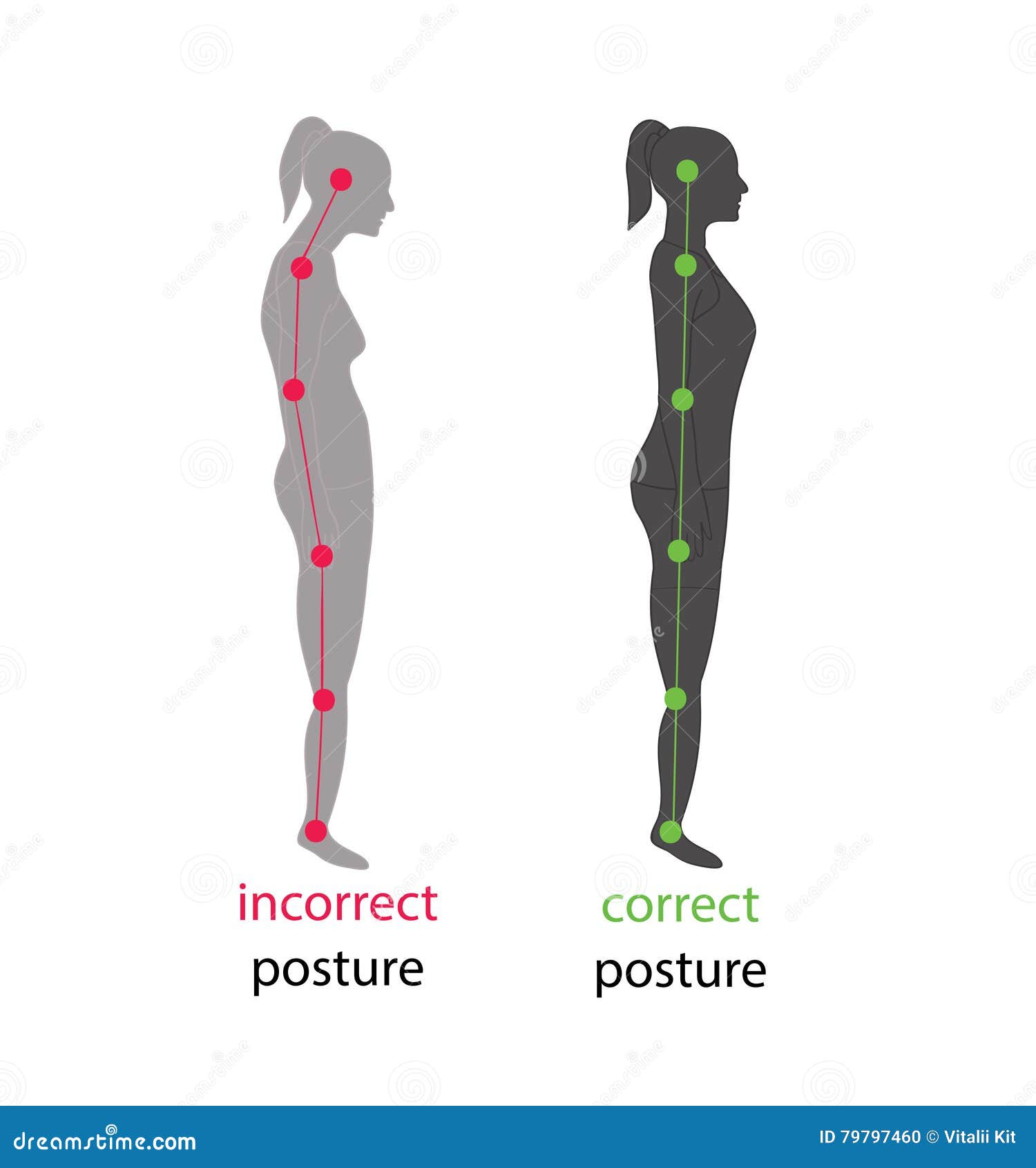Correct Alignment Of Body In Standing Posture Cartoon Vector ... Correct Alignment Of Body In Standing Posture Cartoon Vector ...