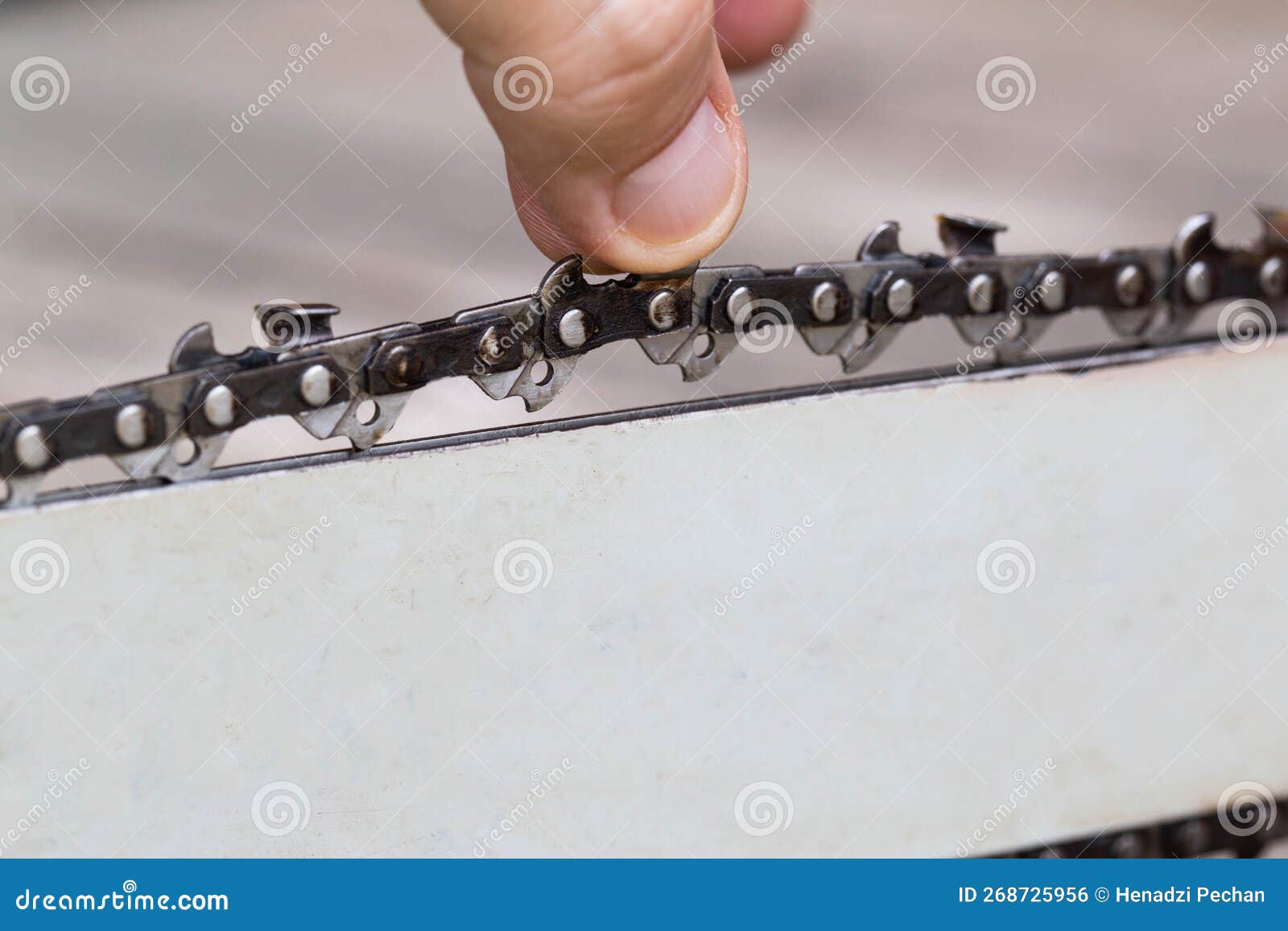 Correct Chain Tension Using the Special Tool on the Chainsaw Bar. Chain ...