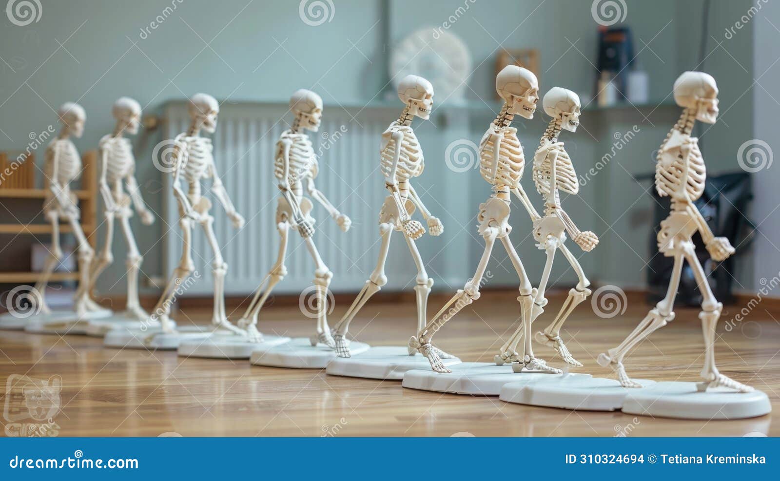 Correct Posture Month. a Lineup of Miniature Skeleton Models Displaying ...