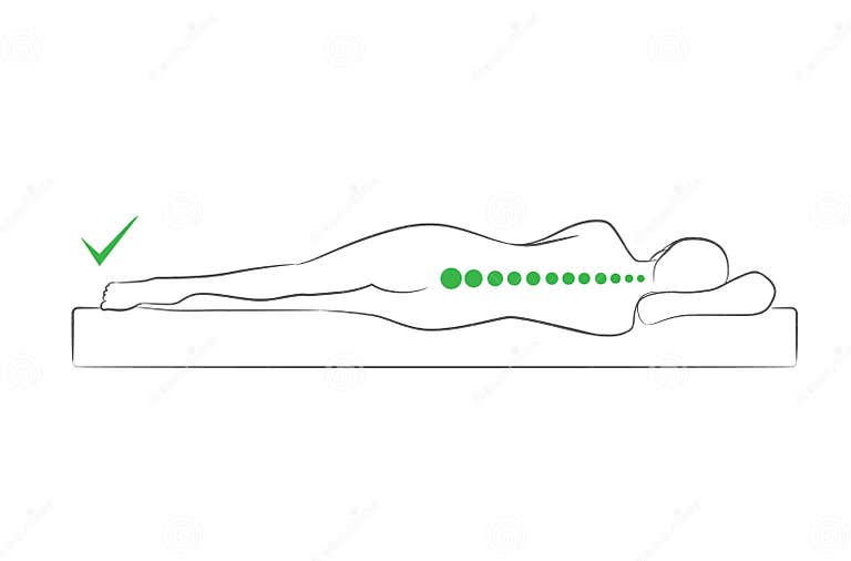 The Correct Spine Alignment when Sleeping. Stock Vector - Illustration ...