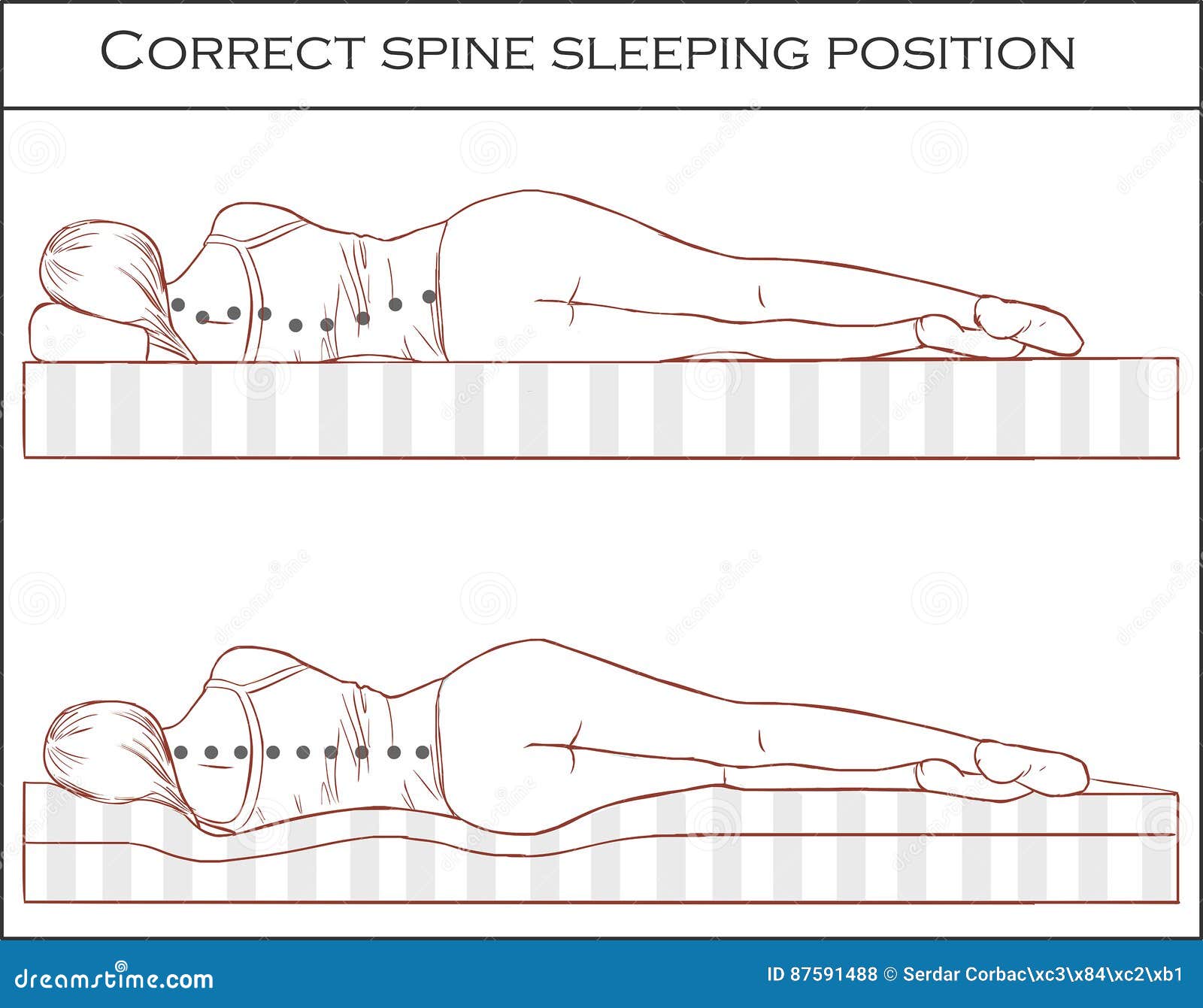 Correct Spine Posture For Driver. Vector Infographics | CartoonDealer ...
