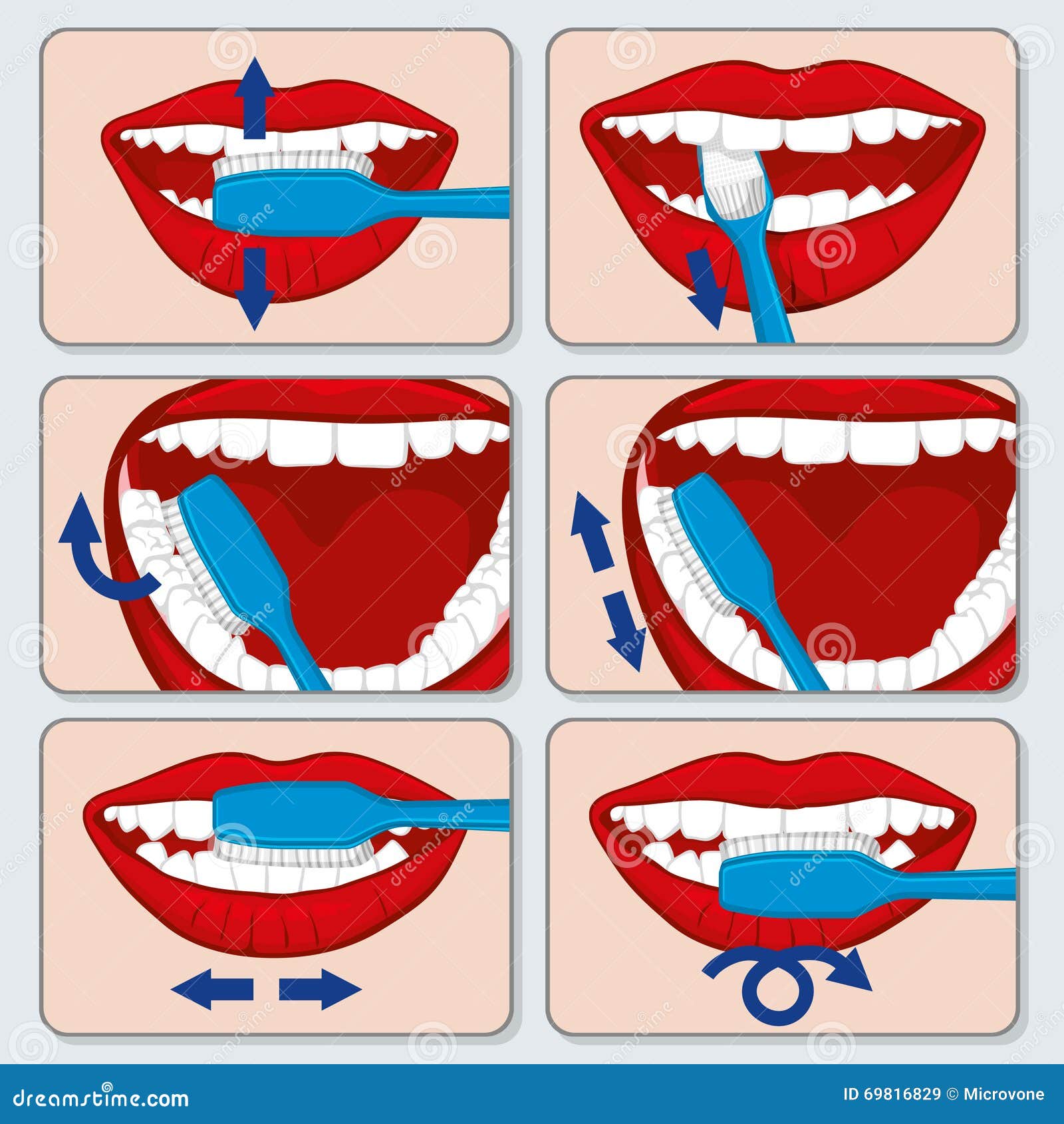 Correct Tooth Brushing Vector Infographics Stock Illustrations – 1 ...