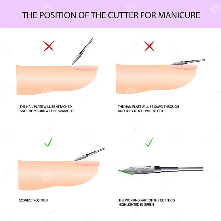 Correct Use of the Cutter. Professional Manicure Guide, Vector ...