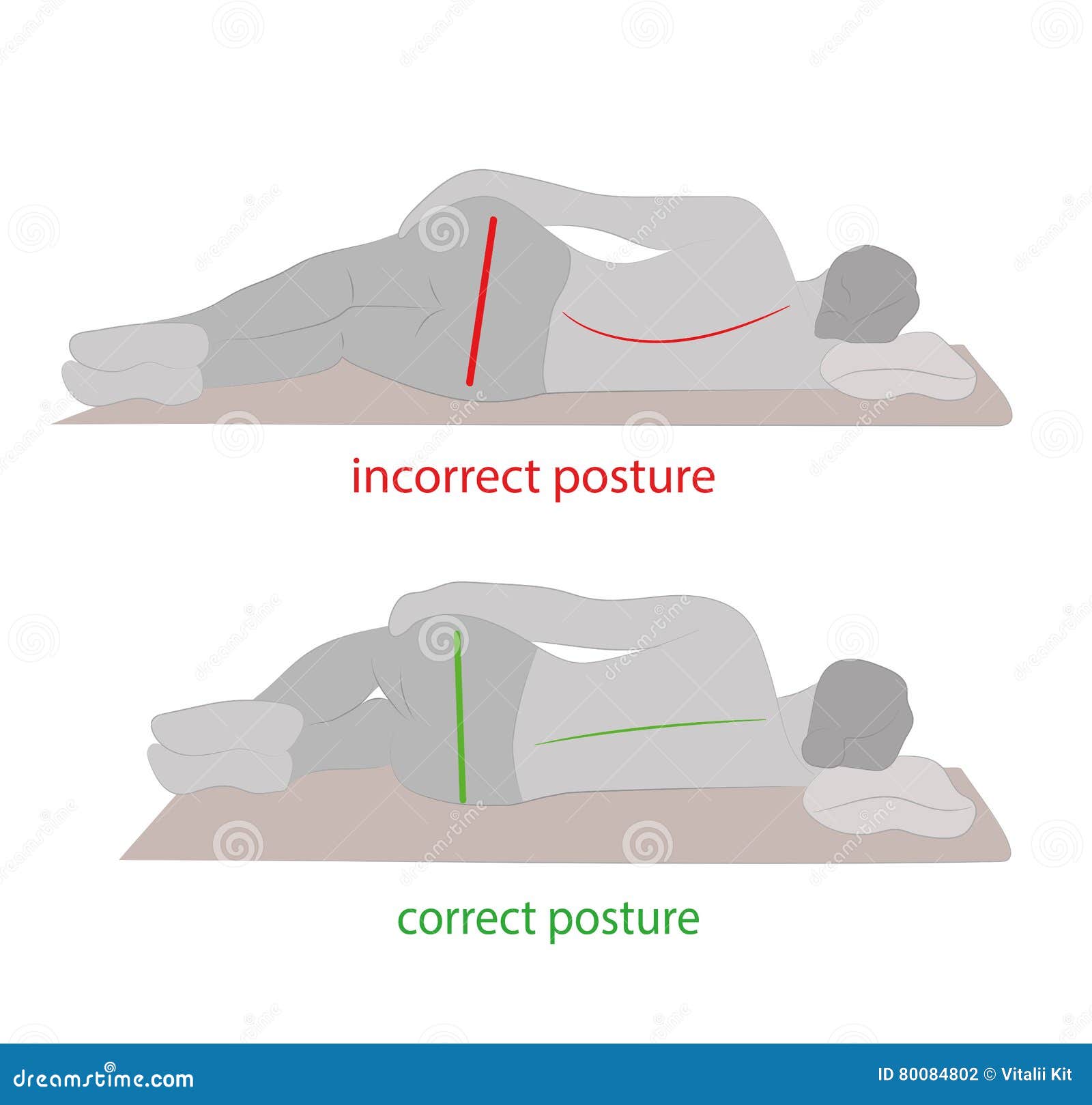 Correcte Houding Tijdens Slaap Vector Illustratie Vector Illustratie ...