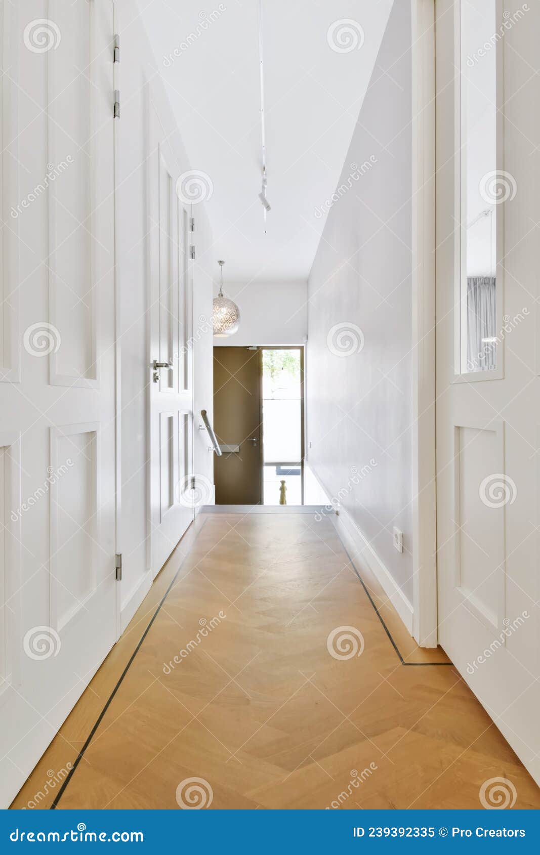 Corredor Longo E Elegante Com Porta Imagem de Stock - Imagem de ...