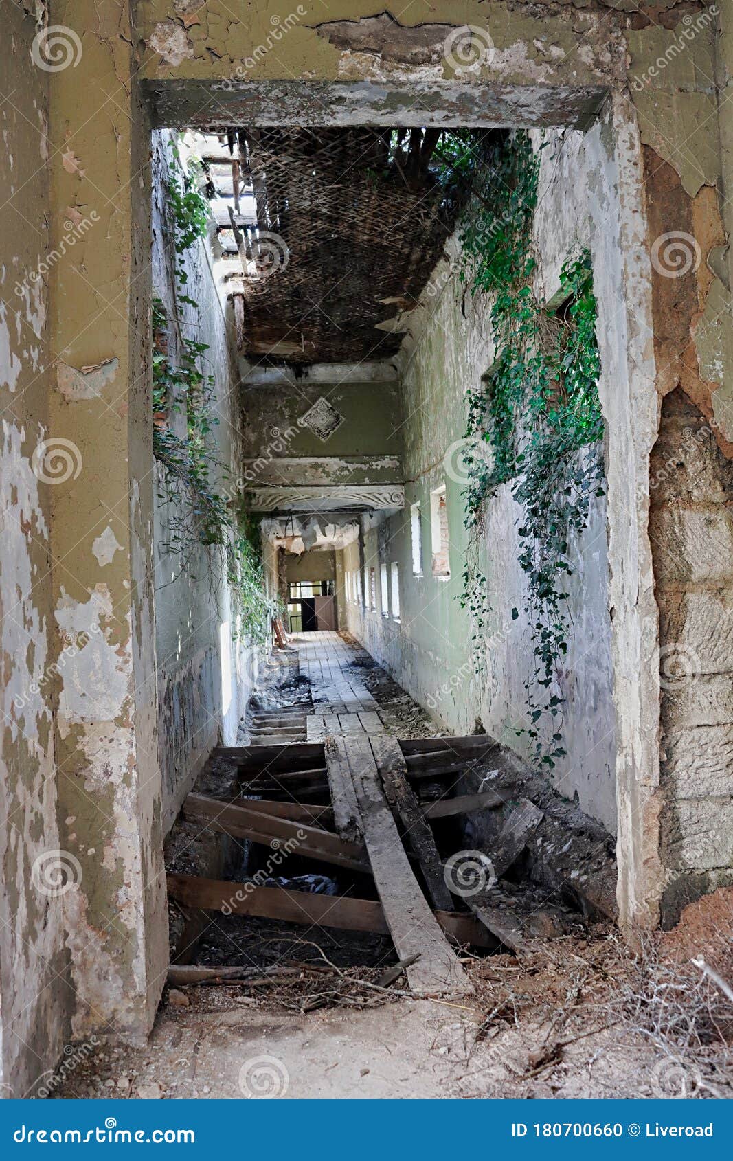 Corridor of an Abandoned and Devastated Building Stock Photo - Image of ...