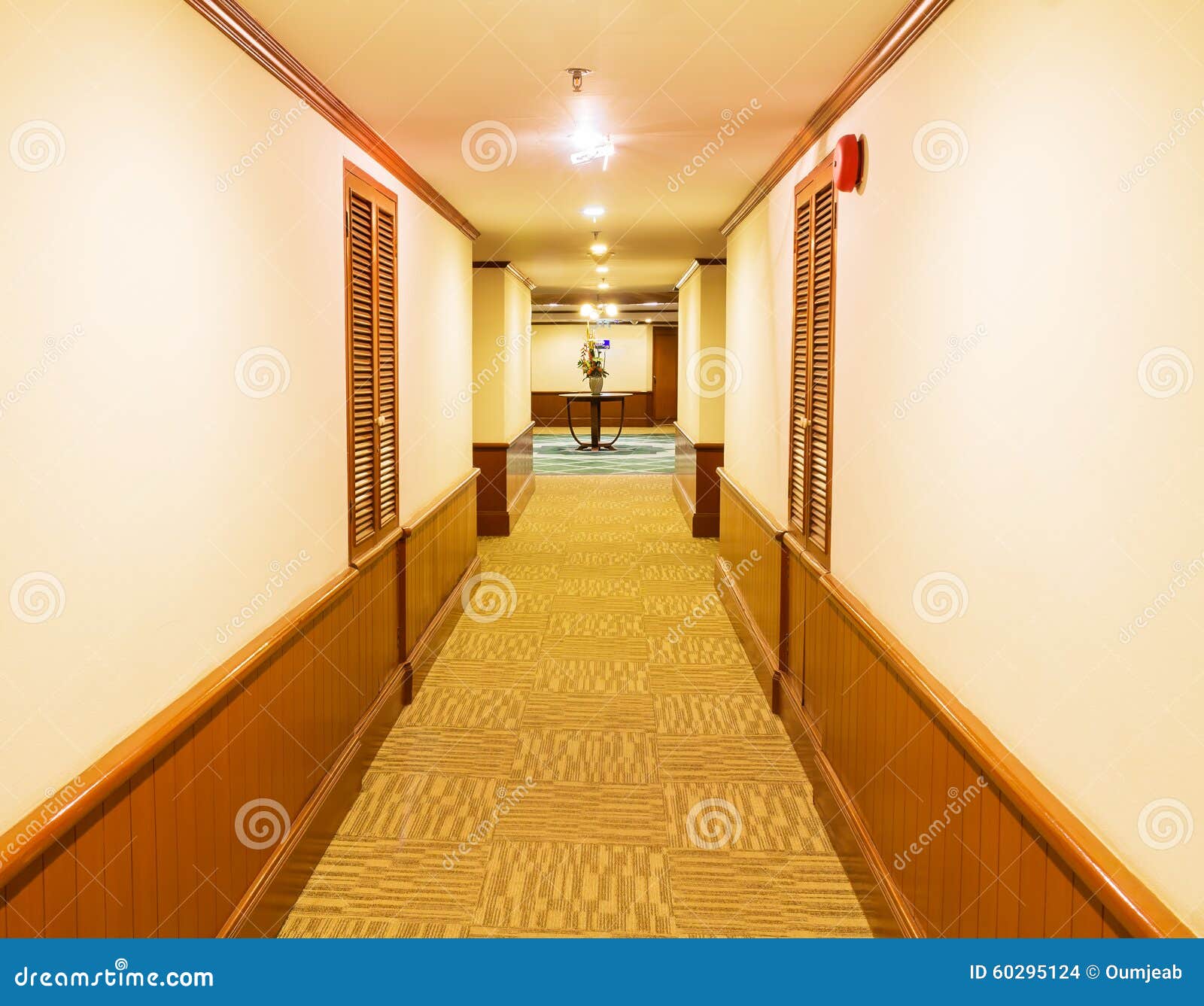 Corridor with Carpet on Floor Stock Photo - Image of roof, frame: 60295124