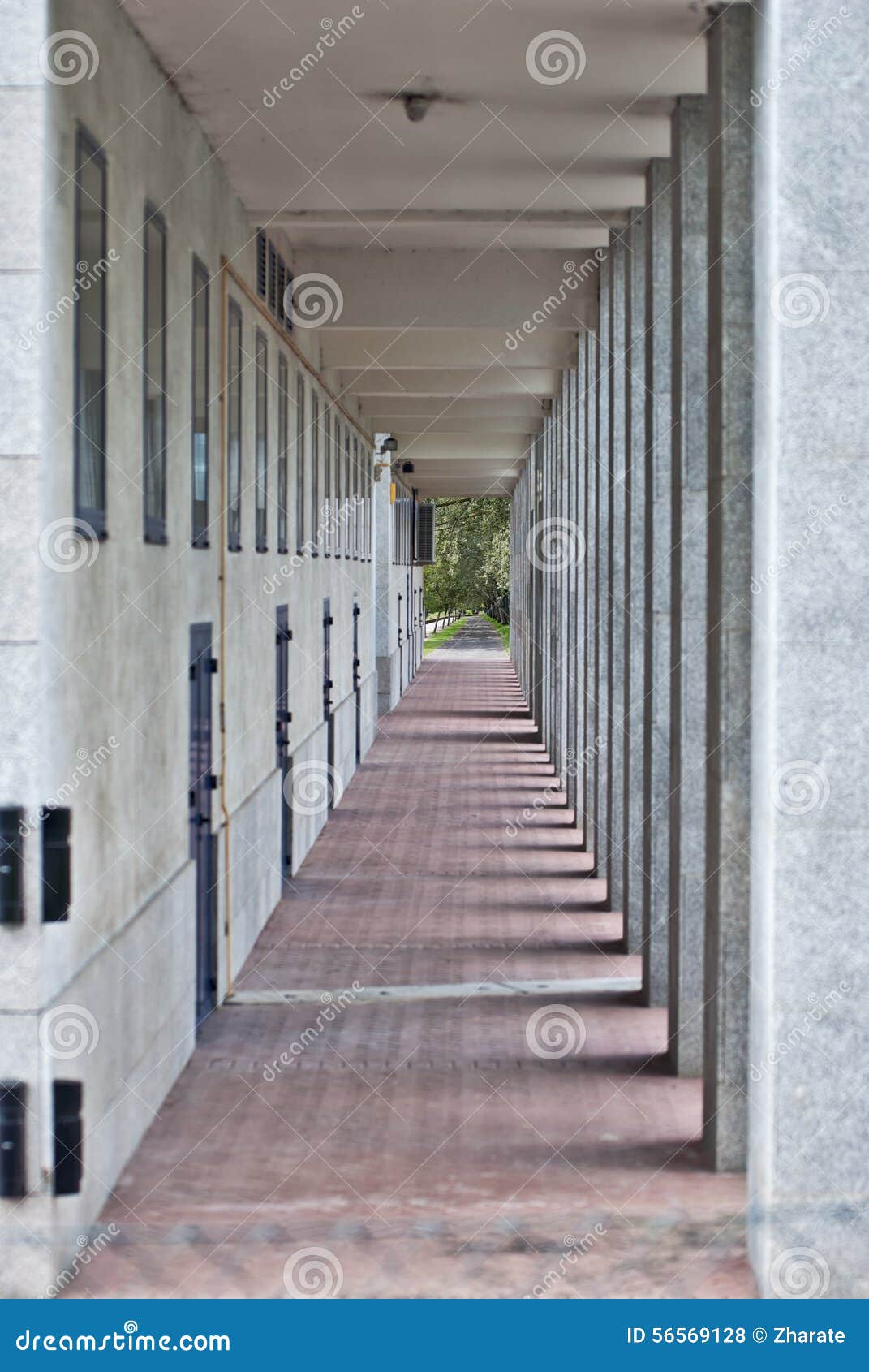 Corridor of columns stock photo. Image of corridor, professional - 56569128
