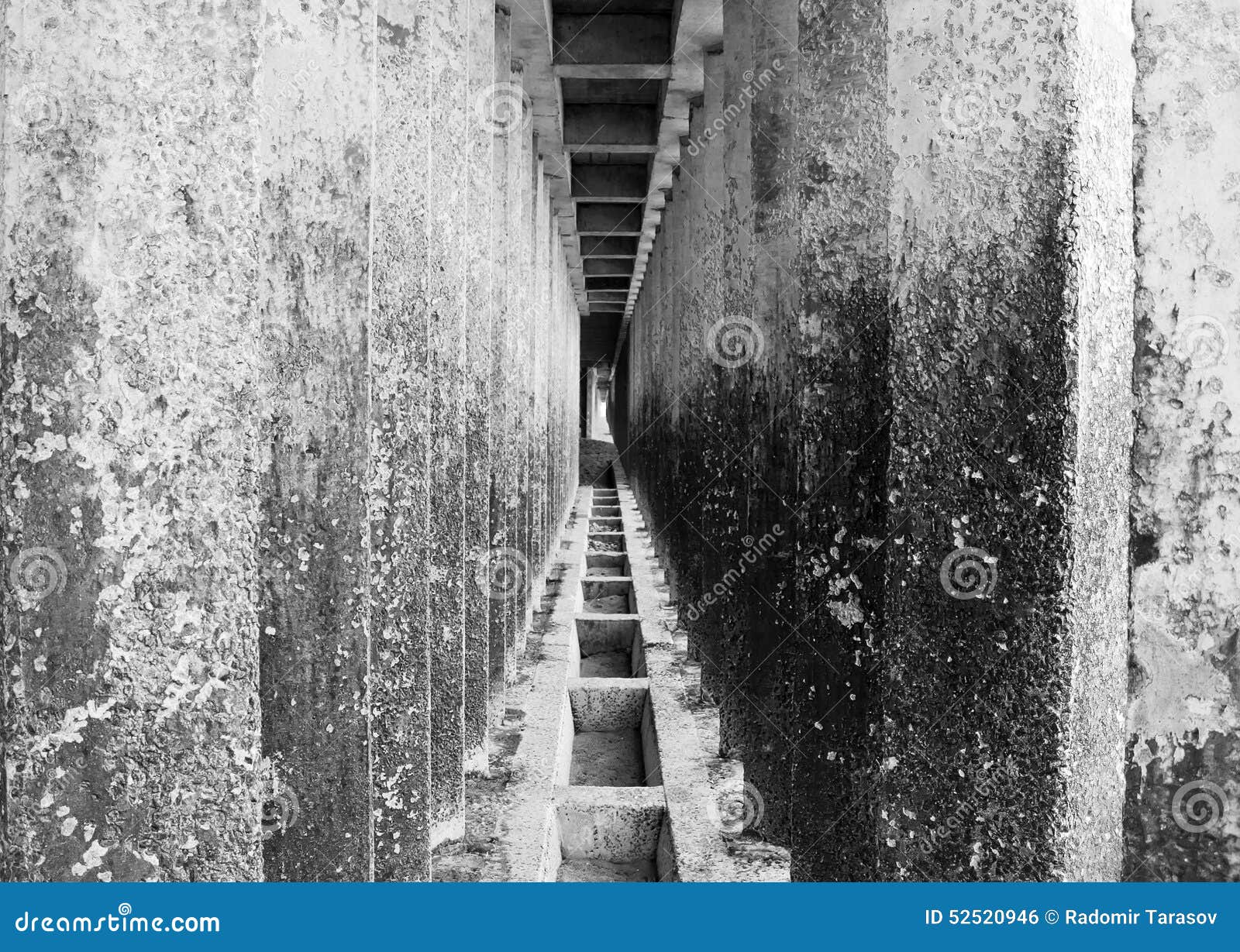 Corridor of Concrete Pillars Stock Photo - Image of pillars, concrete ...