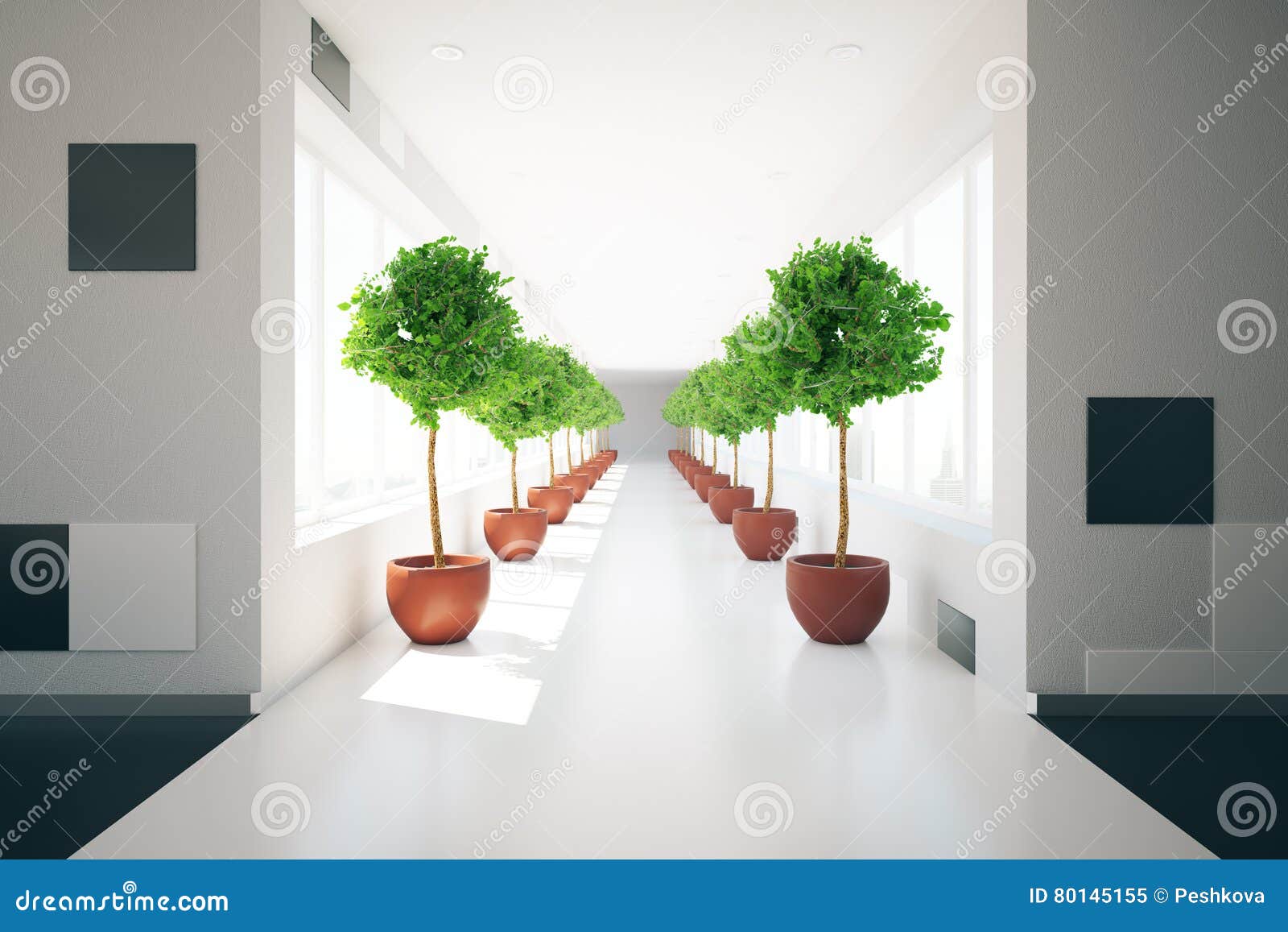 Corridor with Decorative Plants Stock Illustration - Illustration of ...