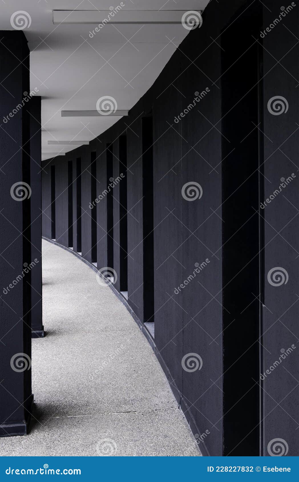 Black columns in a hallway stock photo. Image of design - 228227832