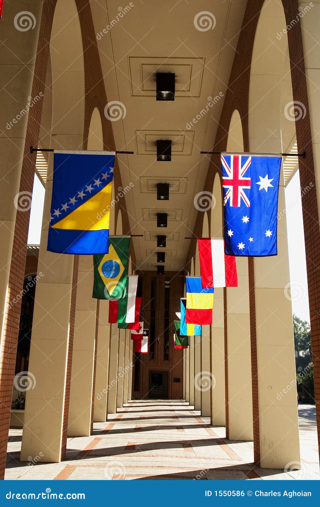 Corridor Signs Flag