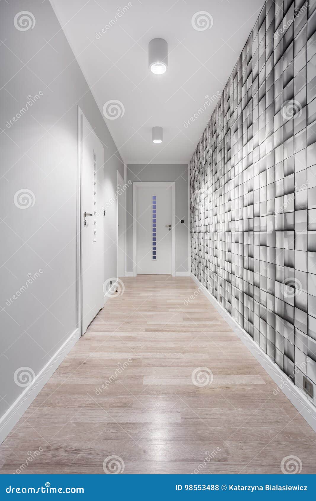 Corridor in flat stock photo. Image of passage, apartment - 98553488