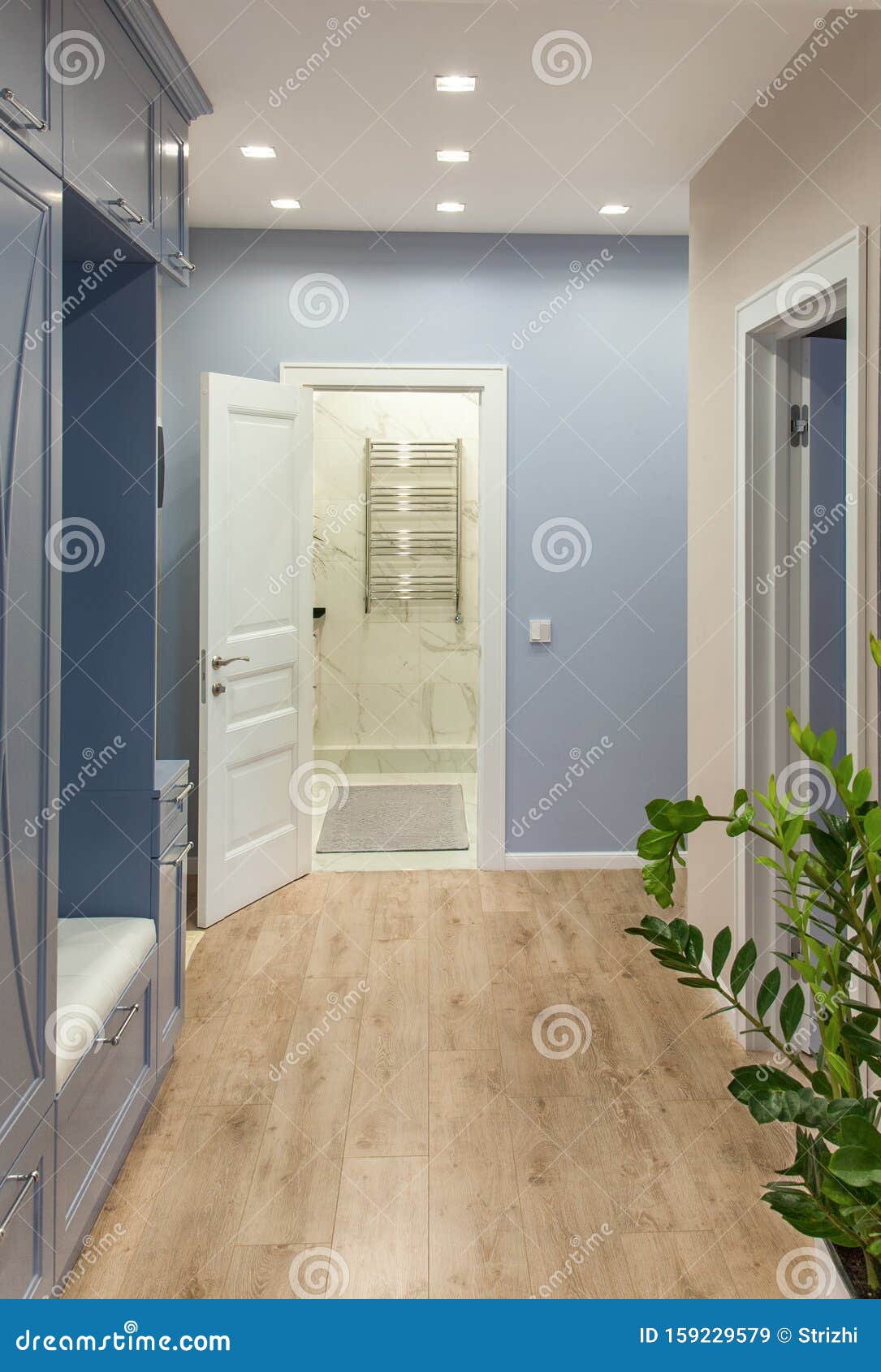Corridor in the hallway stock image. Image of decor - 159229579