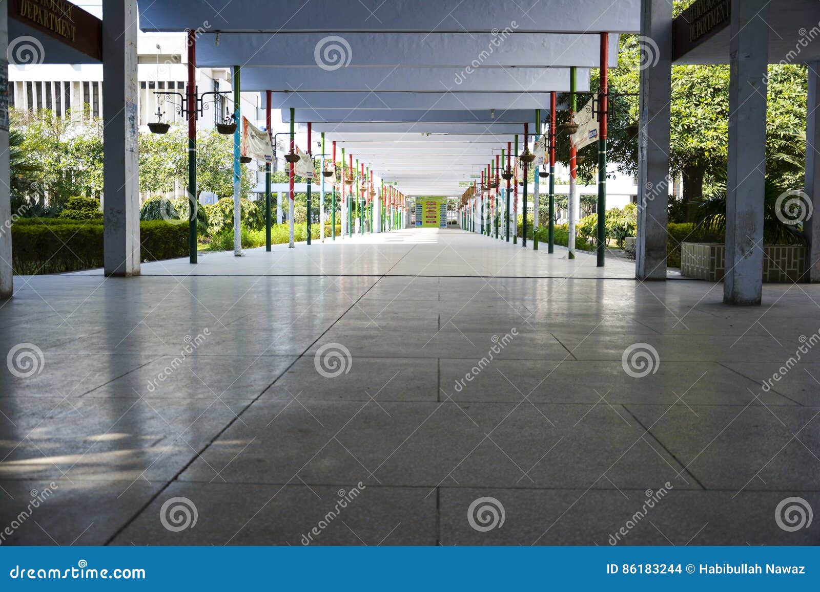 Medical Collage Stock Image | CartoonDealer.com #33436693