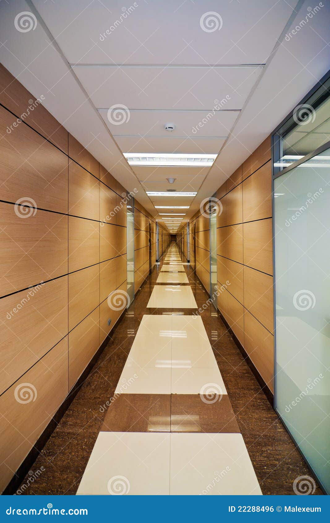 Corridor in modern office stock photo. Image of futuristic - 22288496