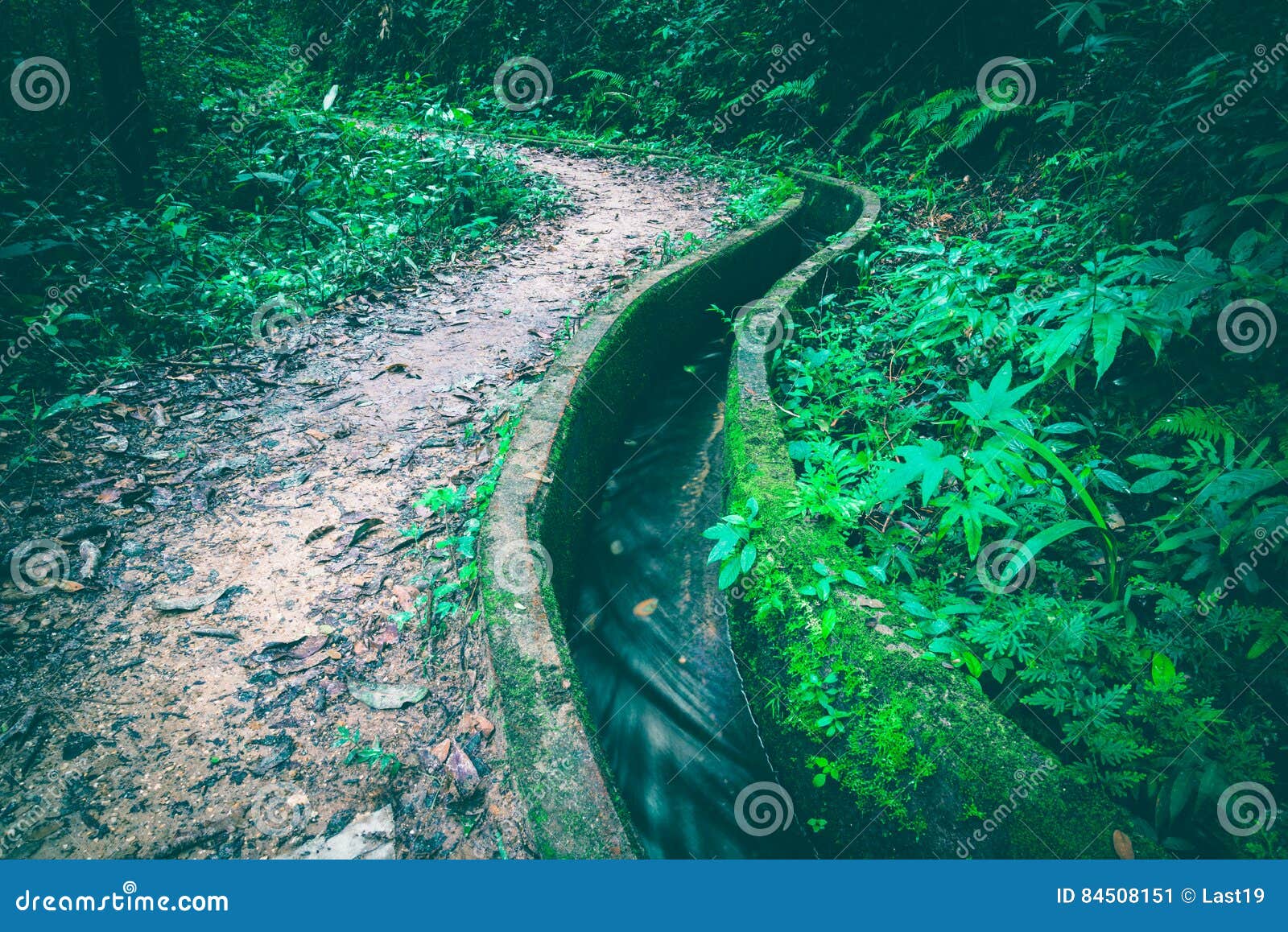 Corridor Natural Drainage Ditches Stock Image - Image of water, flow ...