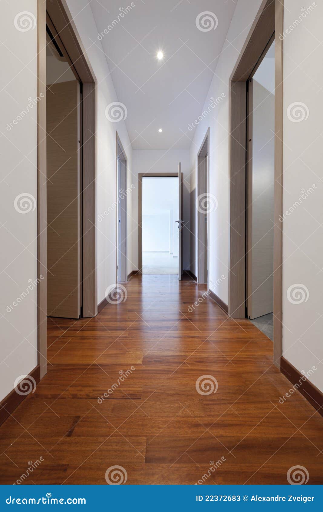 Corridor, Open Doors Royalty-Free Stock Photo | CartoonDealer.com #22372683