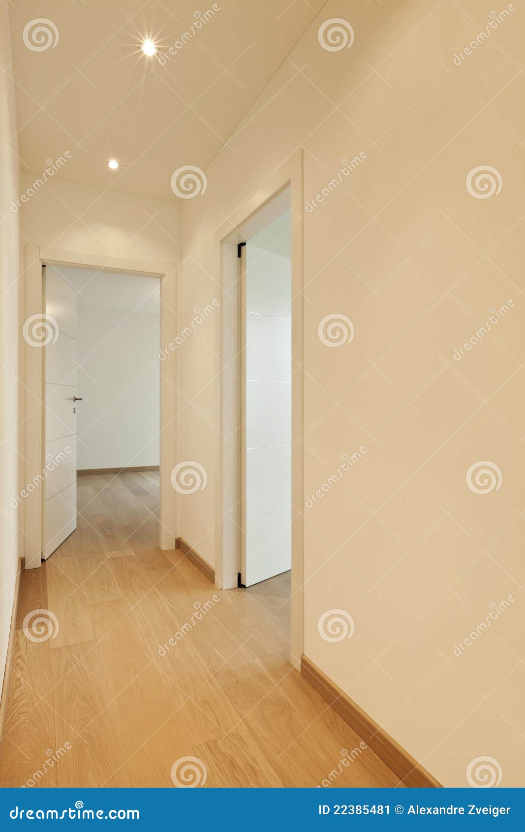 Corridor, Open Doors Royalty-Free Stock Photo | CartoonDealer.com #22372683
