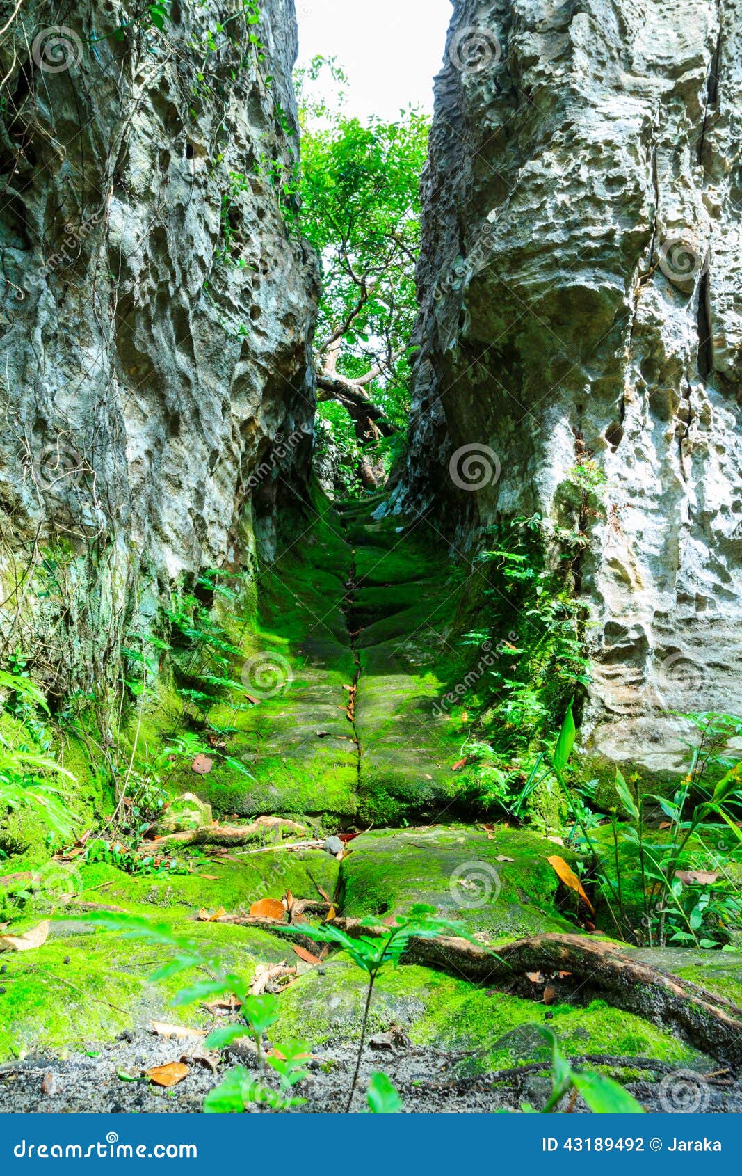 Corridor between the rock stock photo. Image of clammy - 43189492